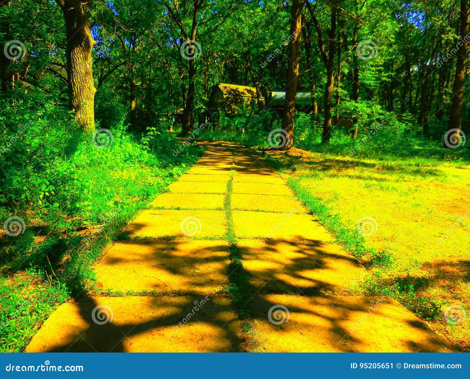 La Strada Gialla Del Mattone Il Mago Di Oz Immagine Stock - Immagine di ...