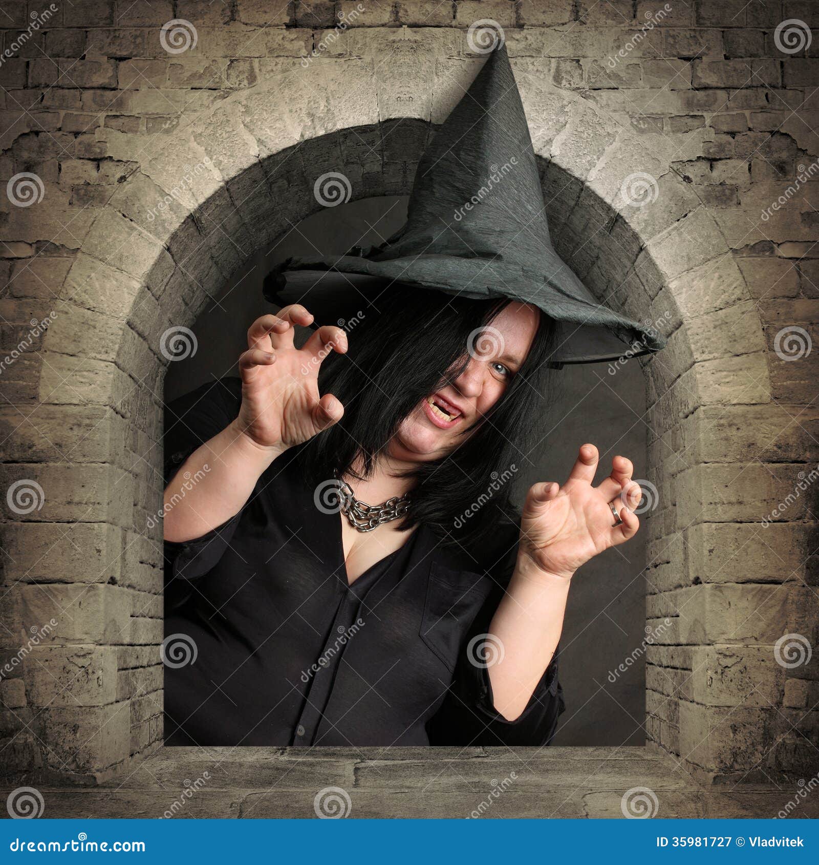 La strega. immagine stock. Immagine di castello, mostro - 35981727