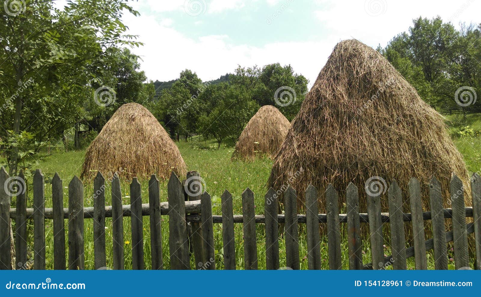 La tara Romania stock image. Image of tara, pasture - 154128961