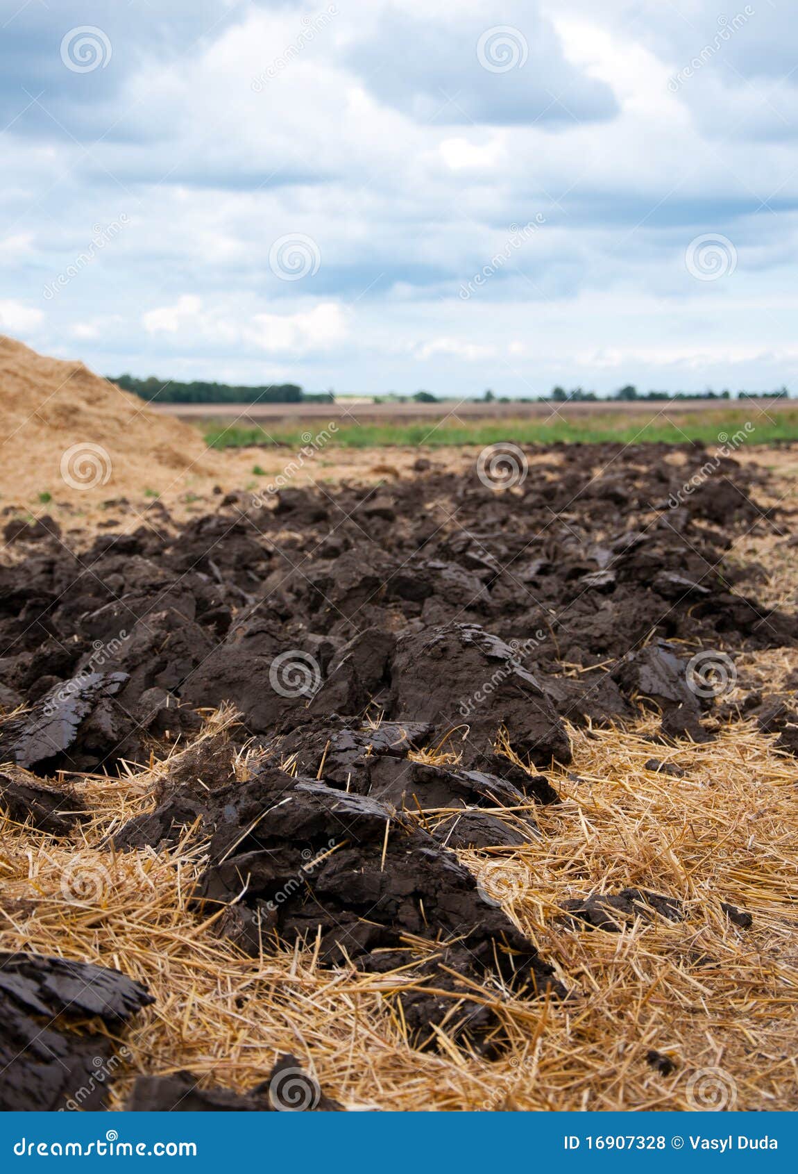 La terre arable photo stock. Image du clair, illustration - 16907328