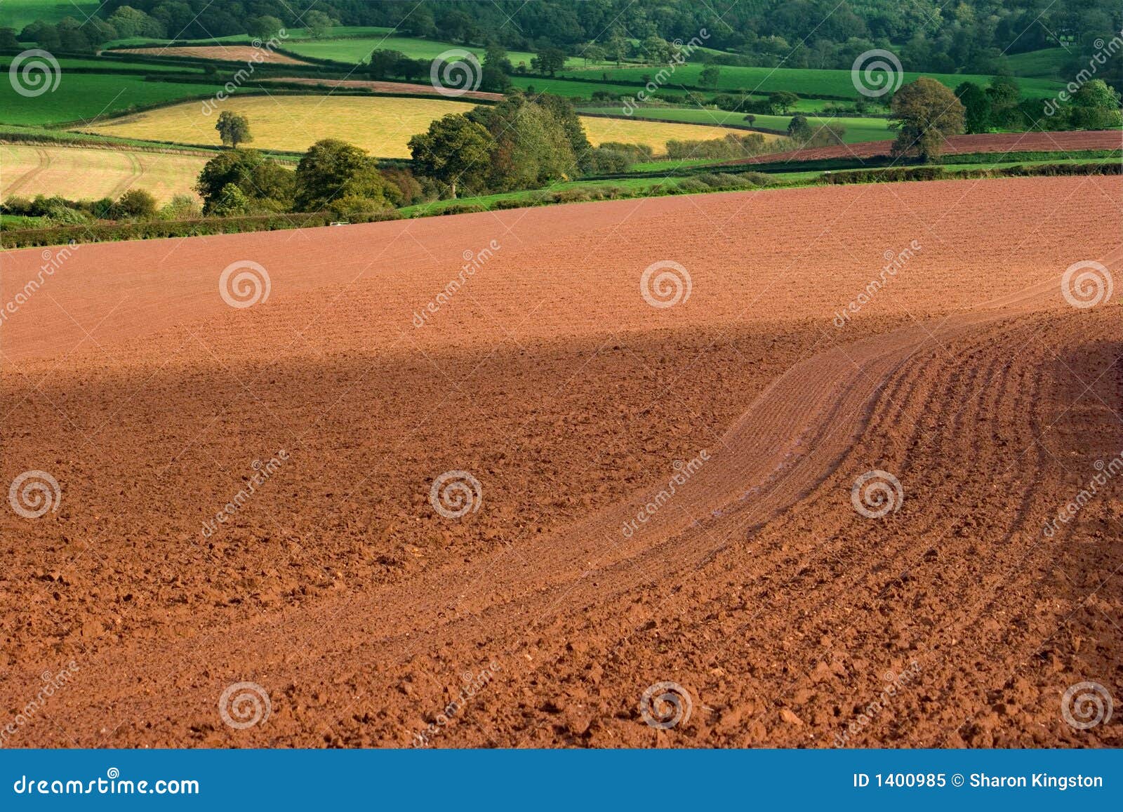 La terre riche image stock. Image du côtes, agriculture - 1400985