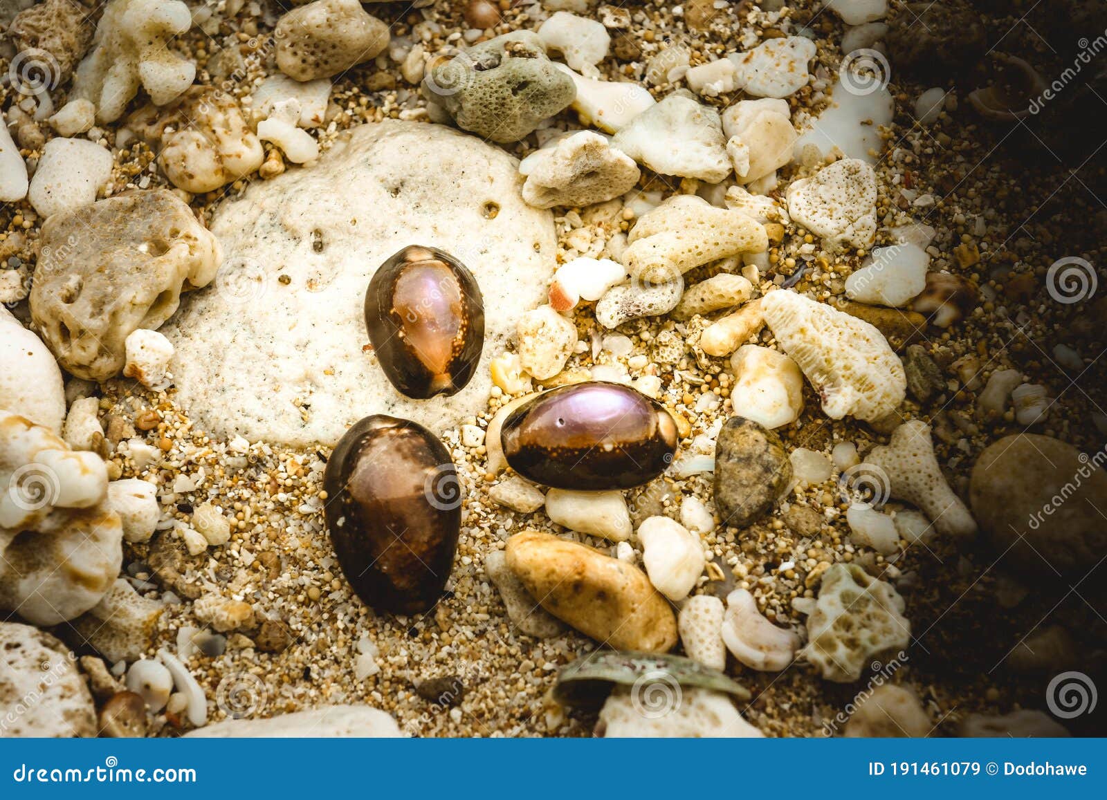 La Textura De La Arena Rocosa En La Playa Imagen de archivo - Imagen de ...