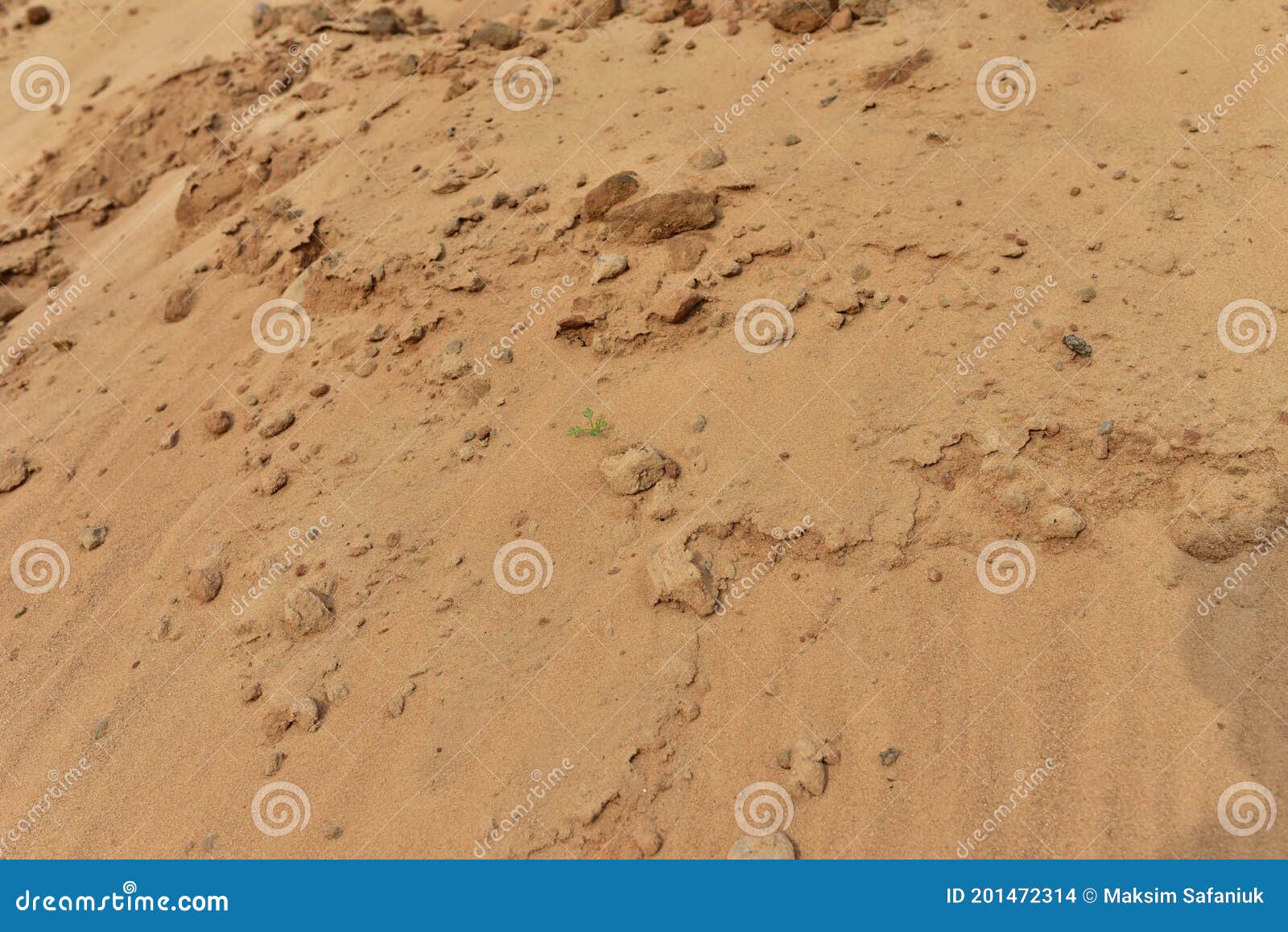 La Textura De La Capa De Arena De La Tierra. La Caja De Arena Foto de ...