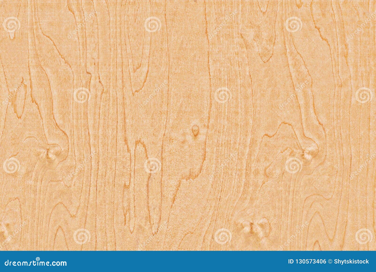 La Textura De La Chapa Natural Del Abedul Foto de archivo - Imagen de ...