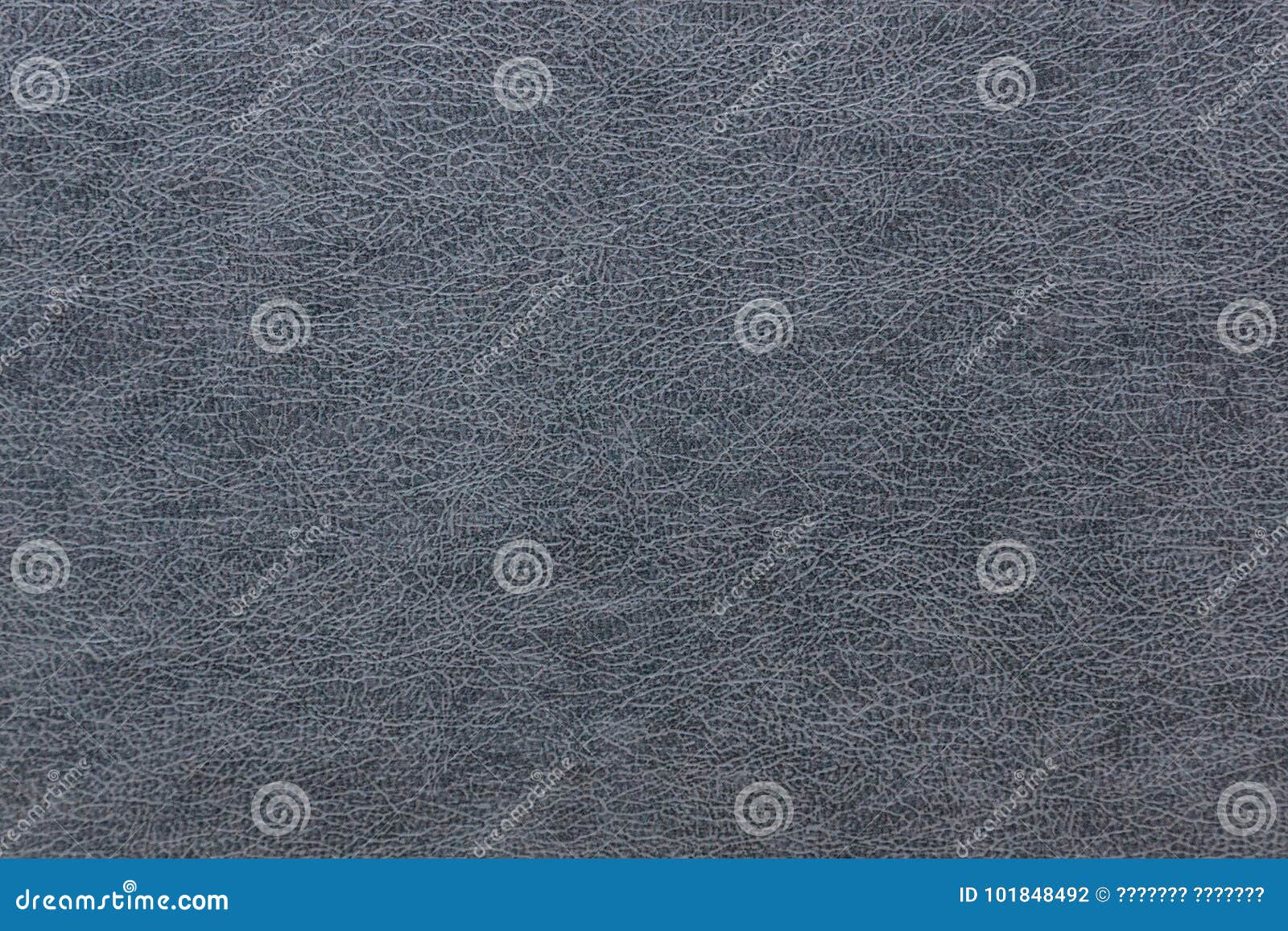 La Textura De La Piel Del Color Gris Foto de archivo - Imagen de ...