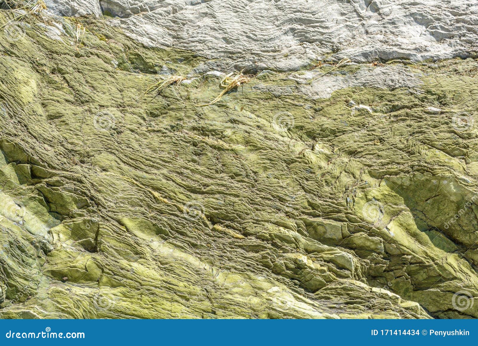 La textura de la roca foto de archivo. Imagen de verde - 171414434