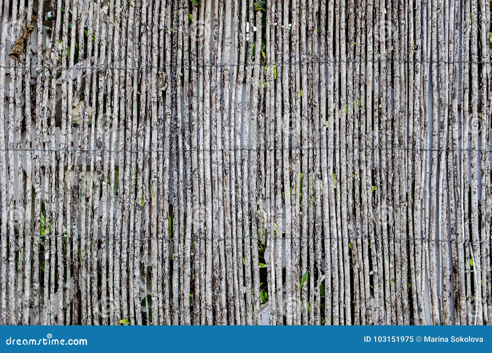 La texture d'une barrière image stock. Image du arbre - 103151975