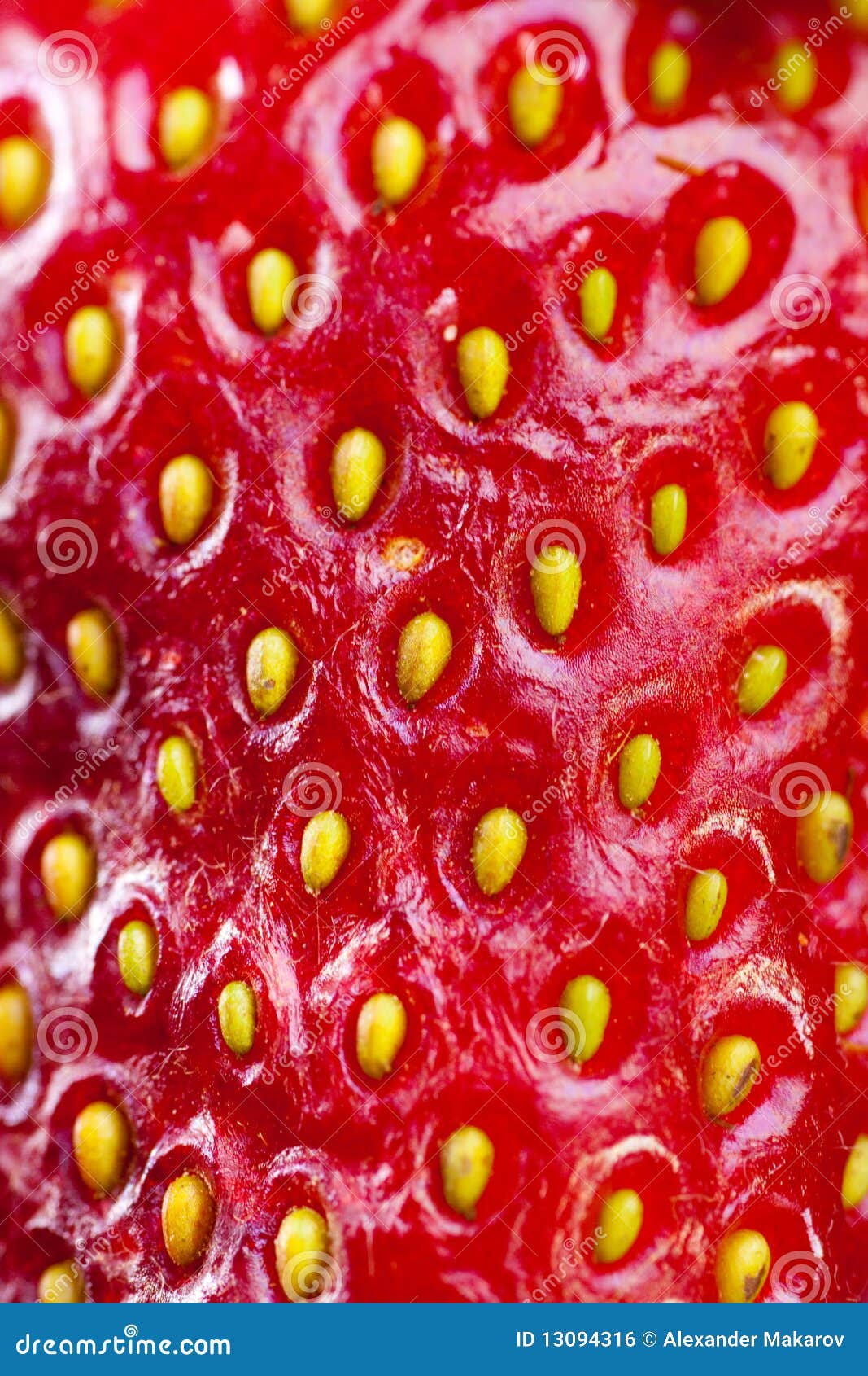 La texture des fraises. photo stock. Image du couleur - 13094316