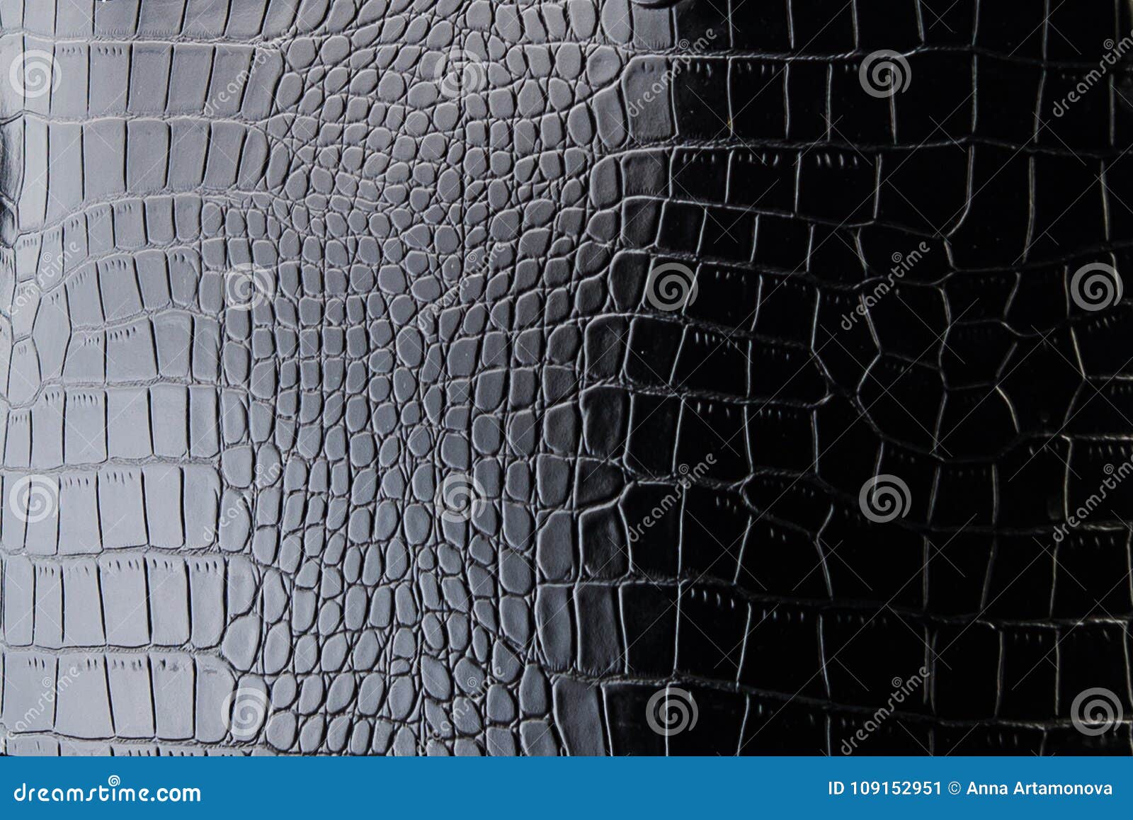 La Texture Du Cuir Dans Le Noir Cuir Verni Image stock - Image du étang ...