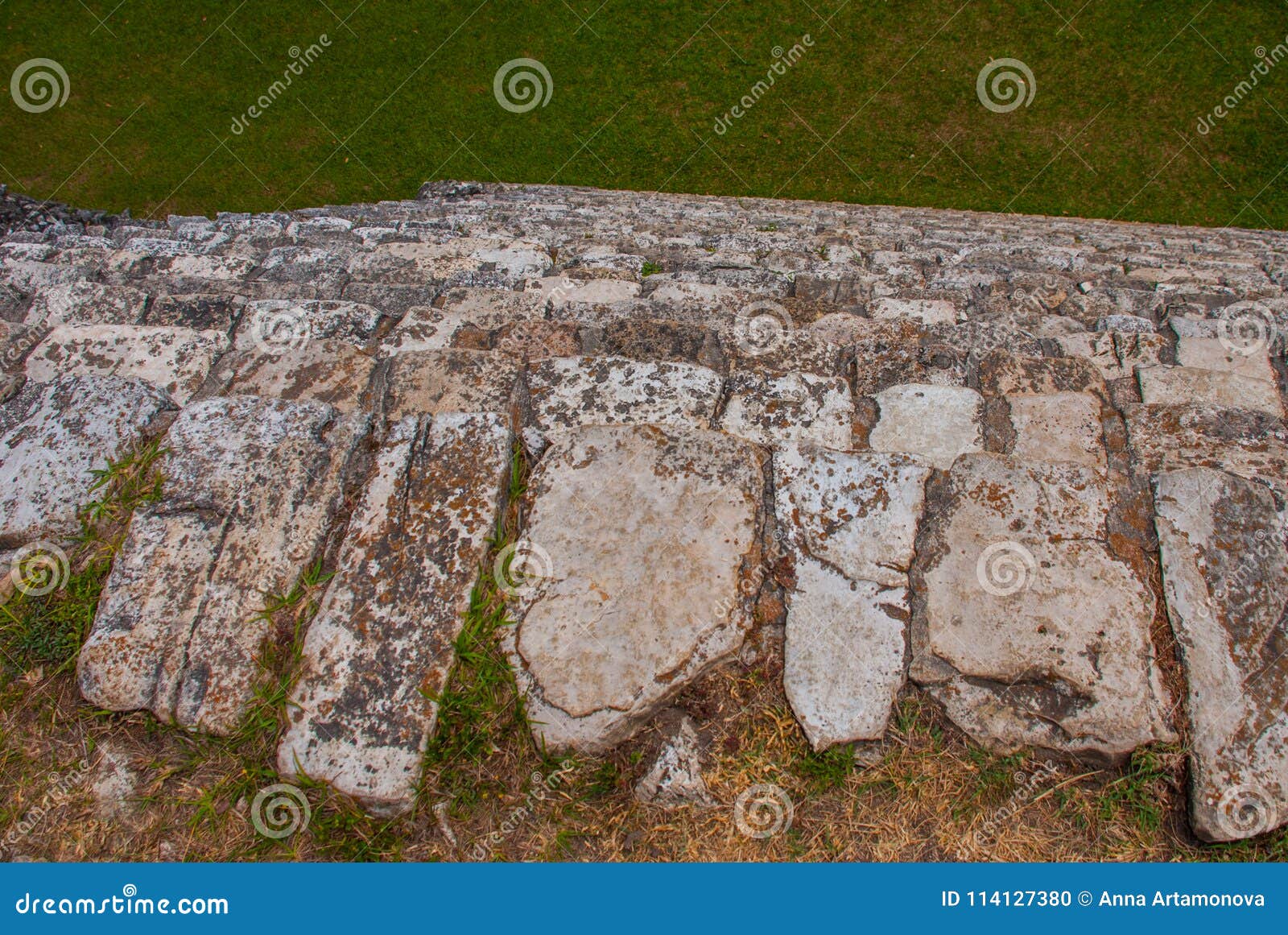 La Texture Du Plan En Pierre Palenque, Chiapas, Mexique Photo stock ...