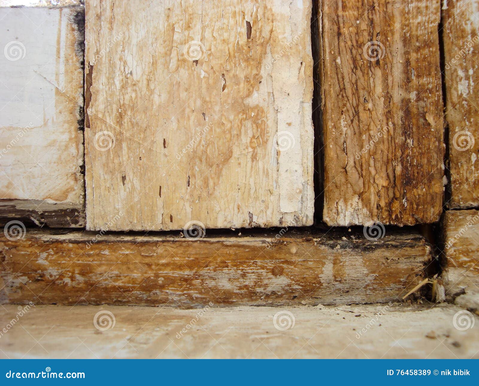 La Texture Du Vieux Pin En Bois Image stock - Image du surface ...