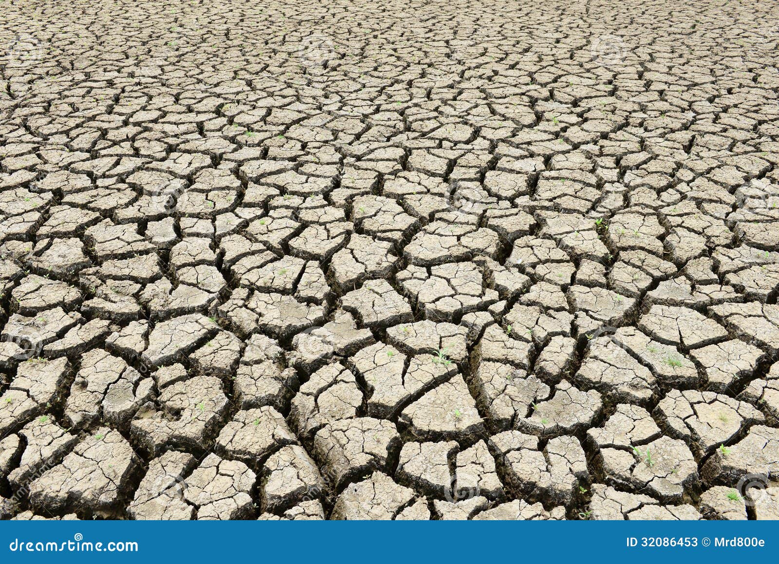 La tierra seca imagen de archivo. Imagen de suciedad - 32086453
