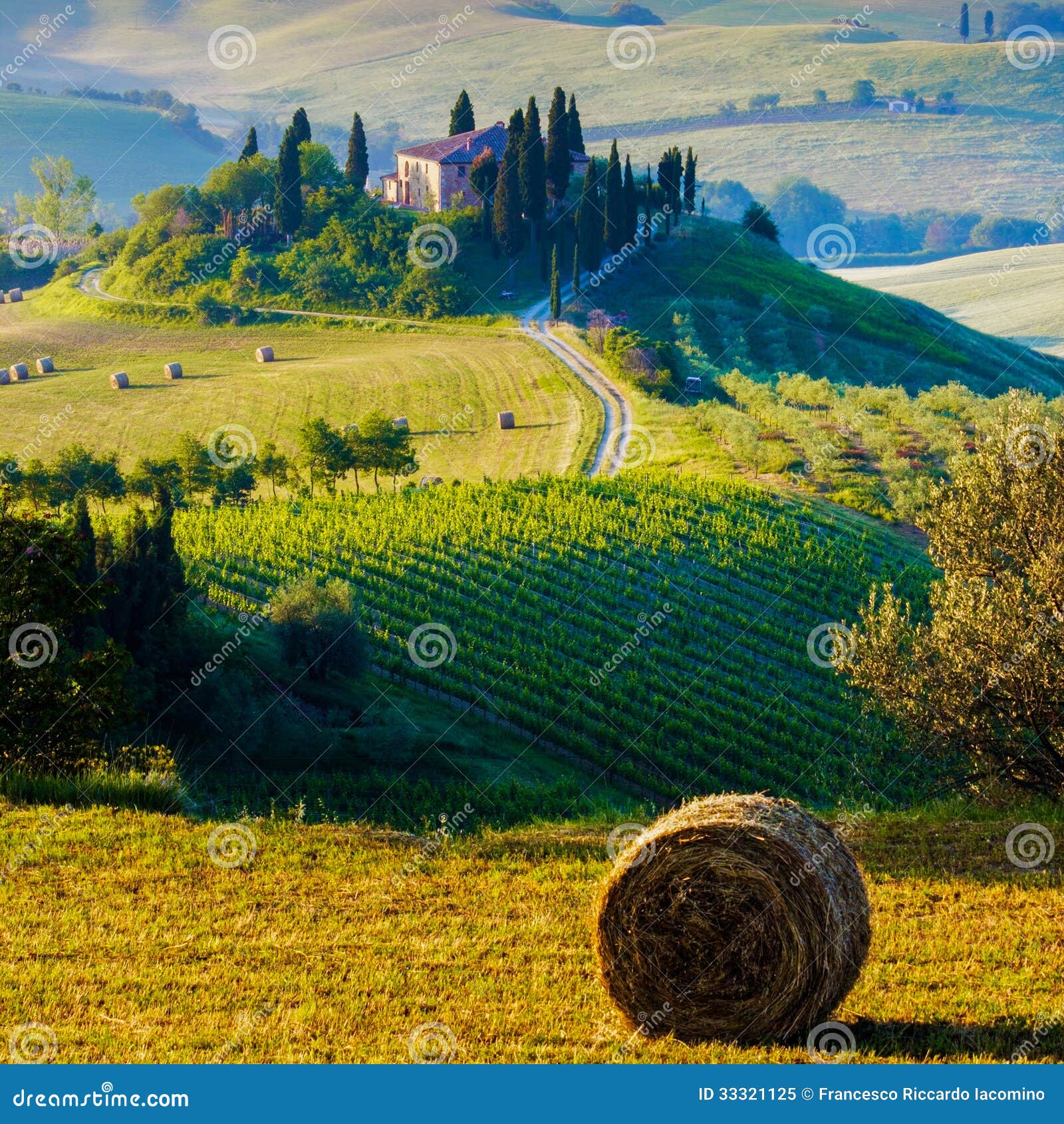 La Toscane, paysage image stock. Image du humeur, jardin - 33321125