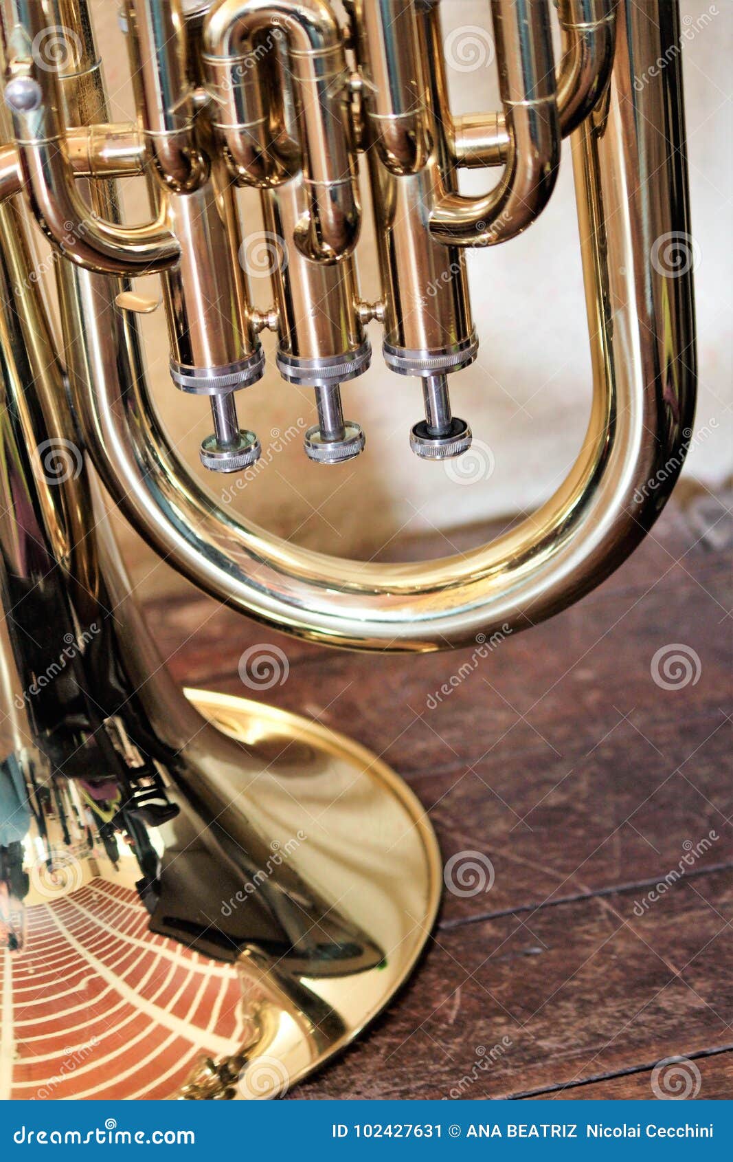 La tuba tenor imagen de archivo. Imagen de fagot, hermoso - 102427631