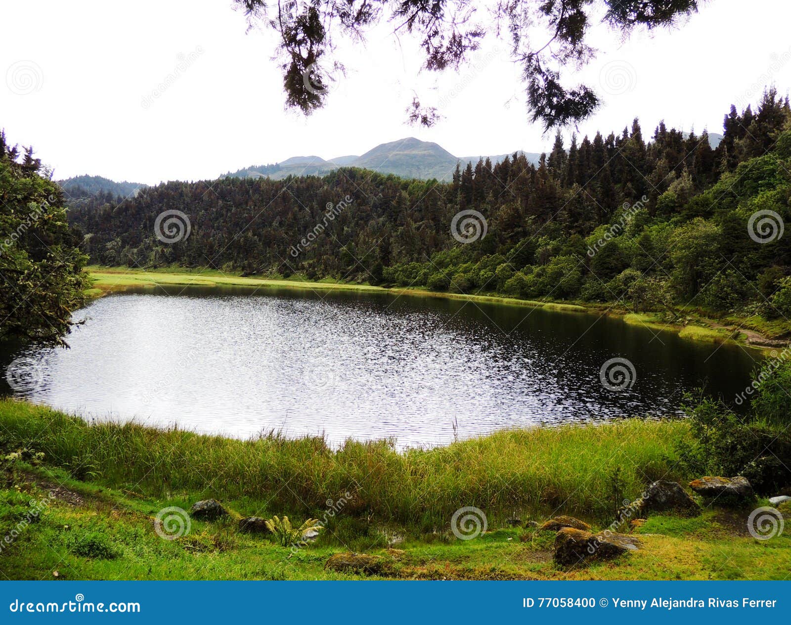 Venezuela Victoria Lagoon Stock Photos - Free & Royalty-Free Stock ...