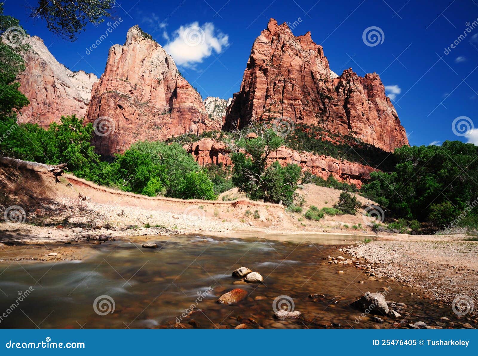 La Vue De La Jonction De Gorge Chez Zion Image stock - Image du désert ...