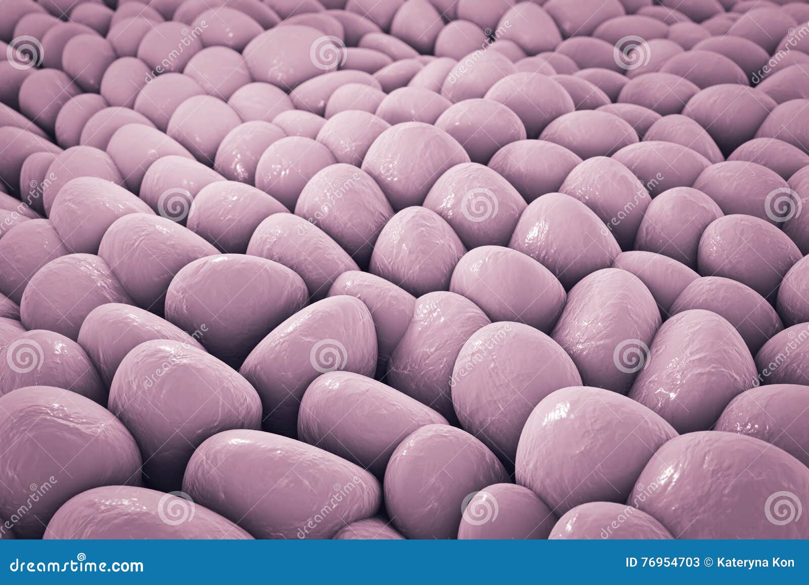 Laag menselijke cellen stock illustratie. Illustration of structuur ...