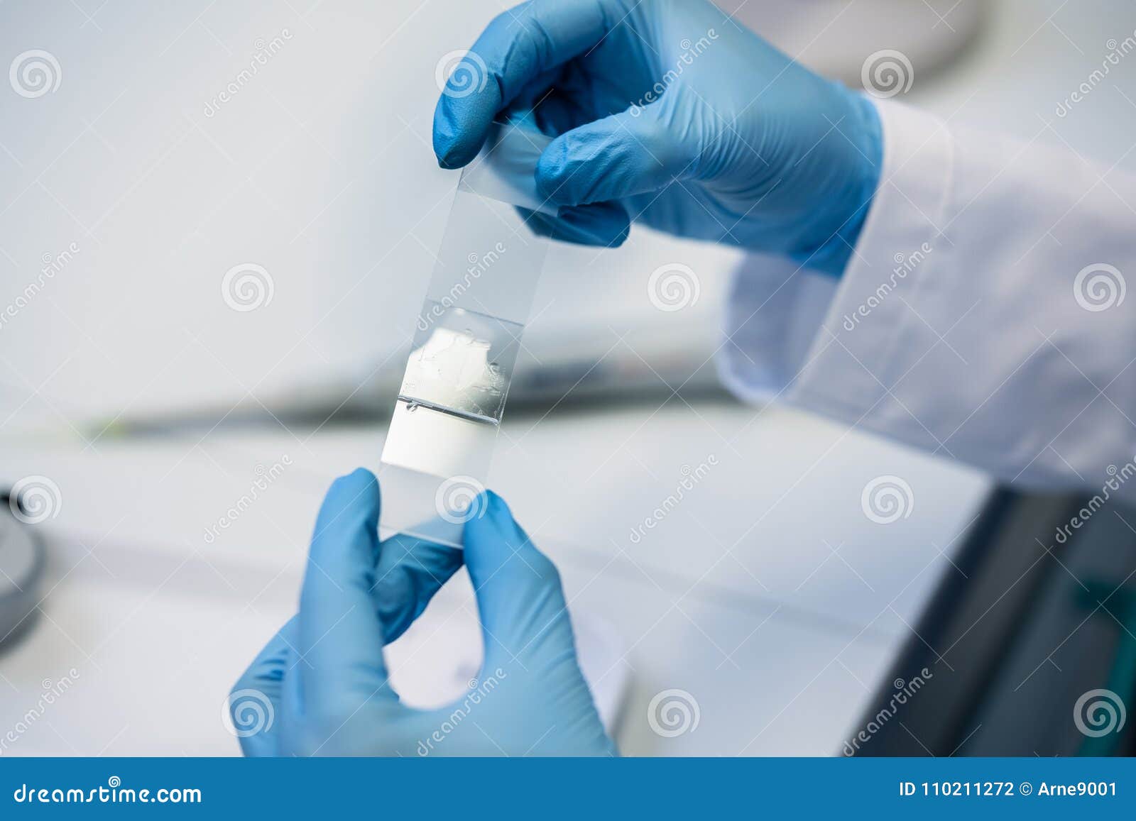 Lab Assistant Preparing Microscope Slide for Scrutiny Stock Photo ...