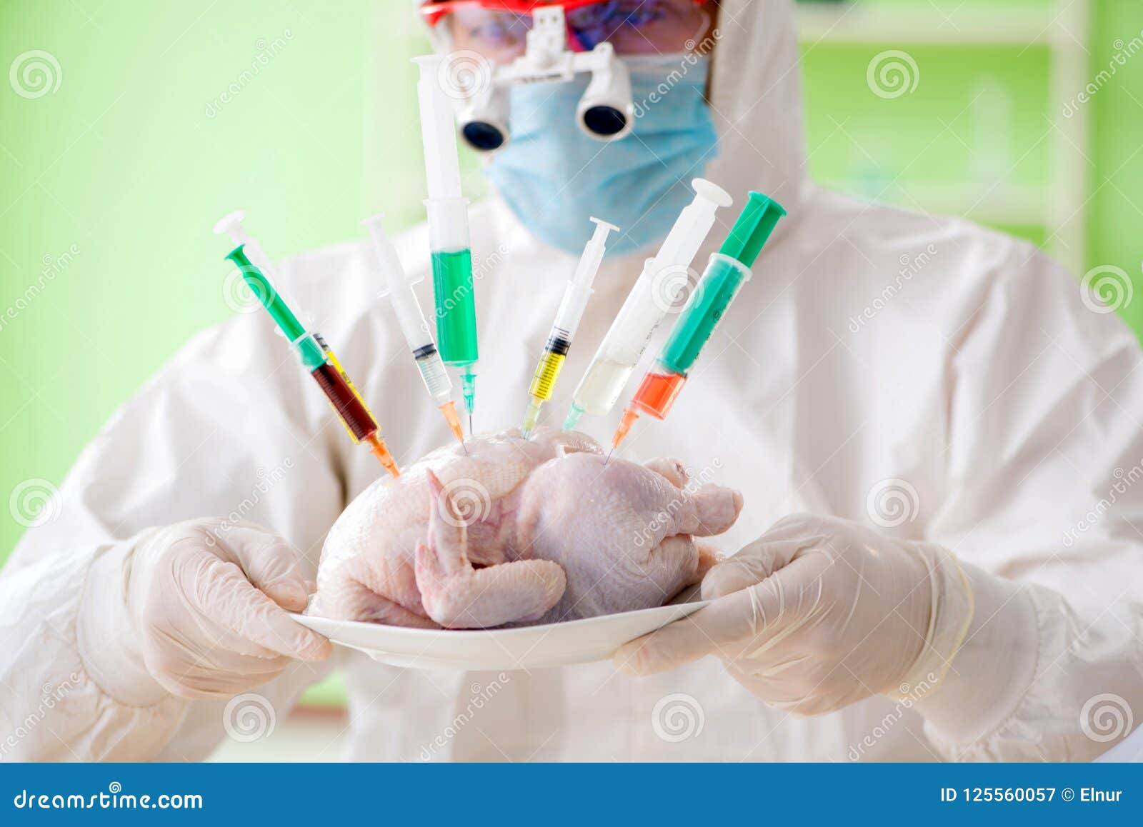 The Lab Assistant Testing Gmo Chicken Stock Image - Image of meat, bird ...
