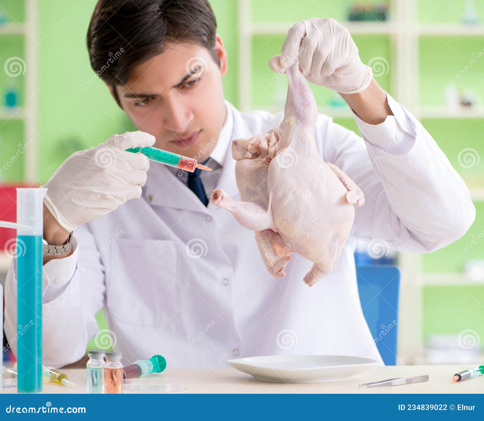 Lab Assistant Testing GMO Chicken Stock Photo - Image of biology ...