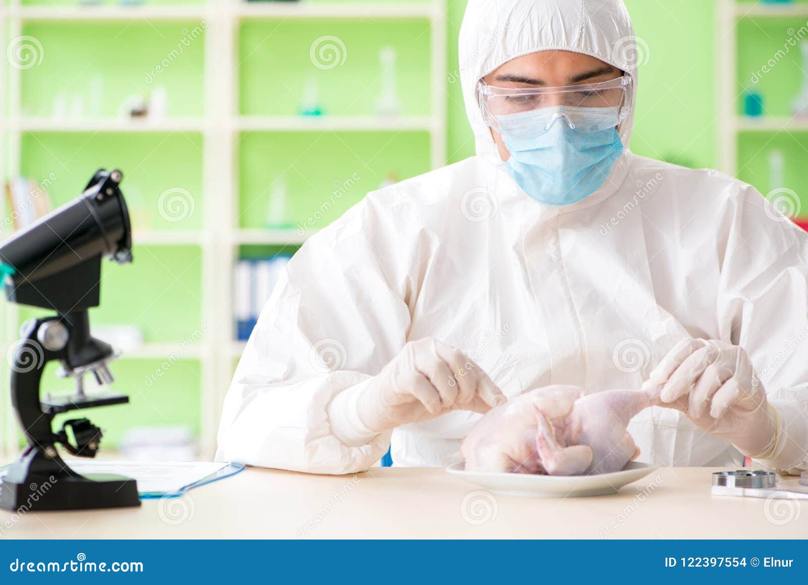 The Lab Assistant Testing Gmo Chicken Stock Photo - Image of experiment ...