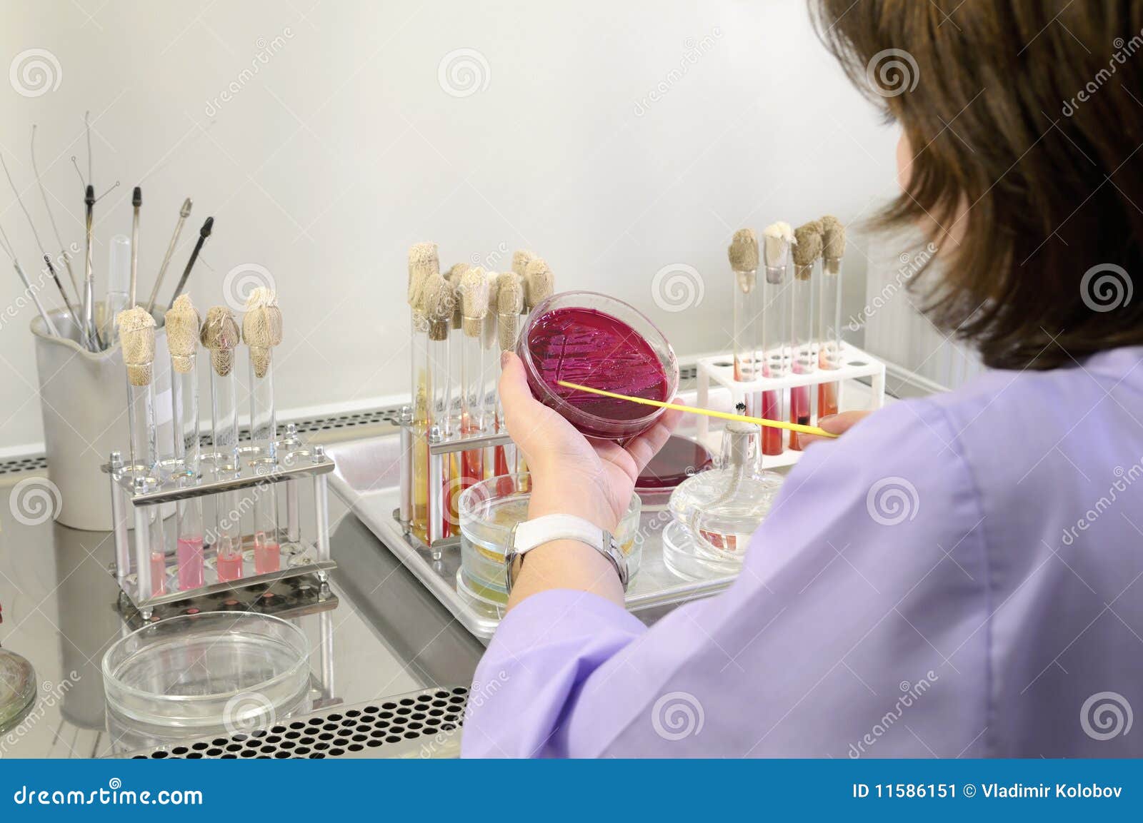 Lab assistant working. stock image. Image of glass, research - 11586151