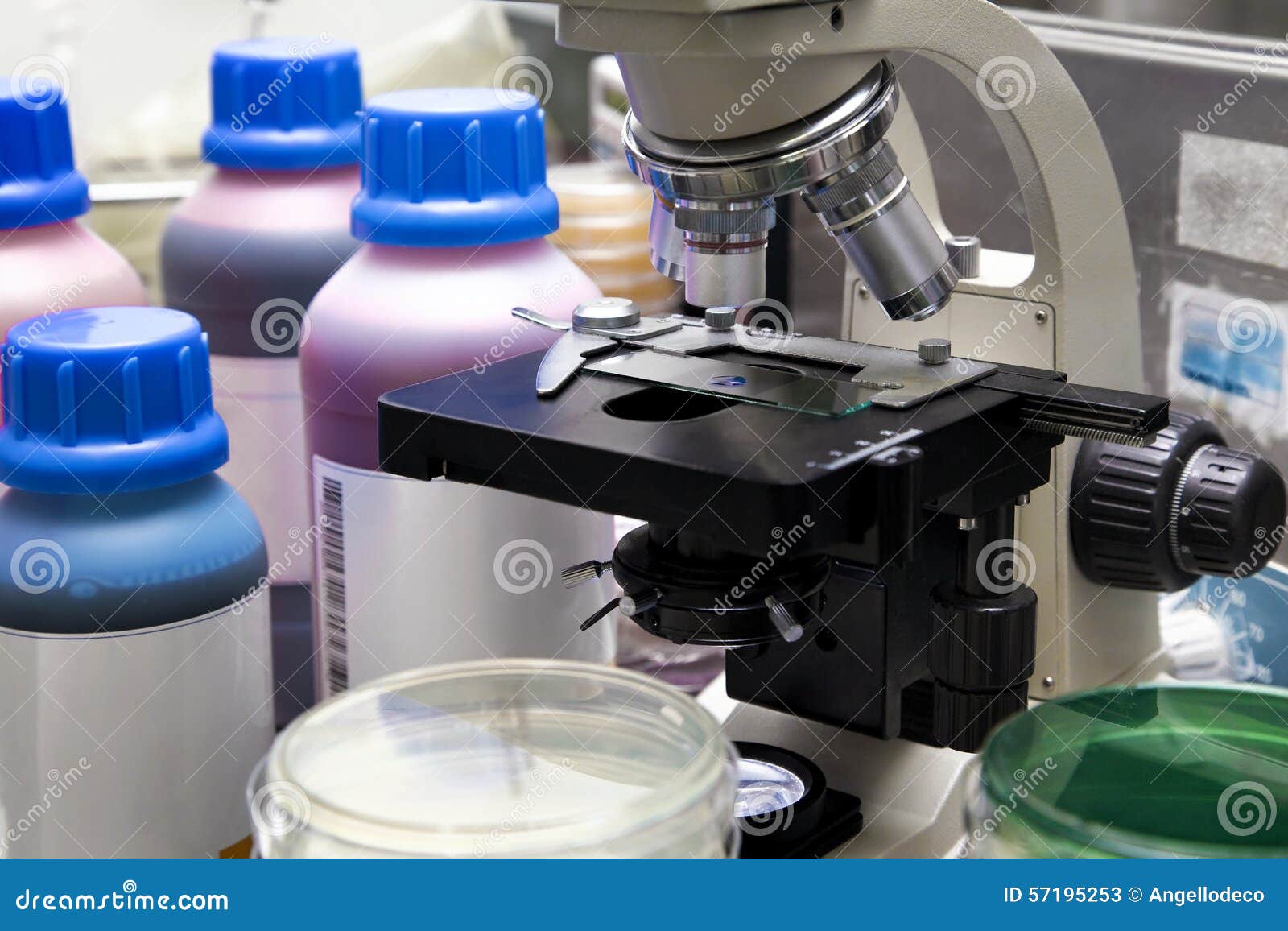 Lab Bench with Microscopic Analysis with Samples and Reagents Stock ...