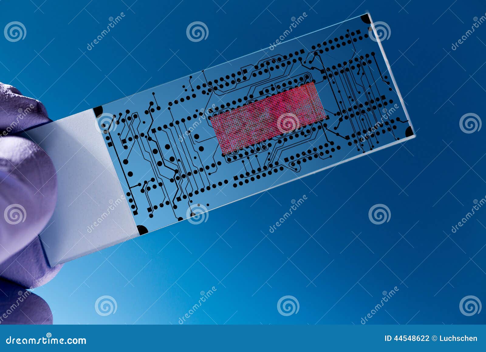 Lab on chip (LOC) stock photo. Image of micropillar, diagnostics - 44548622