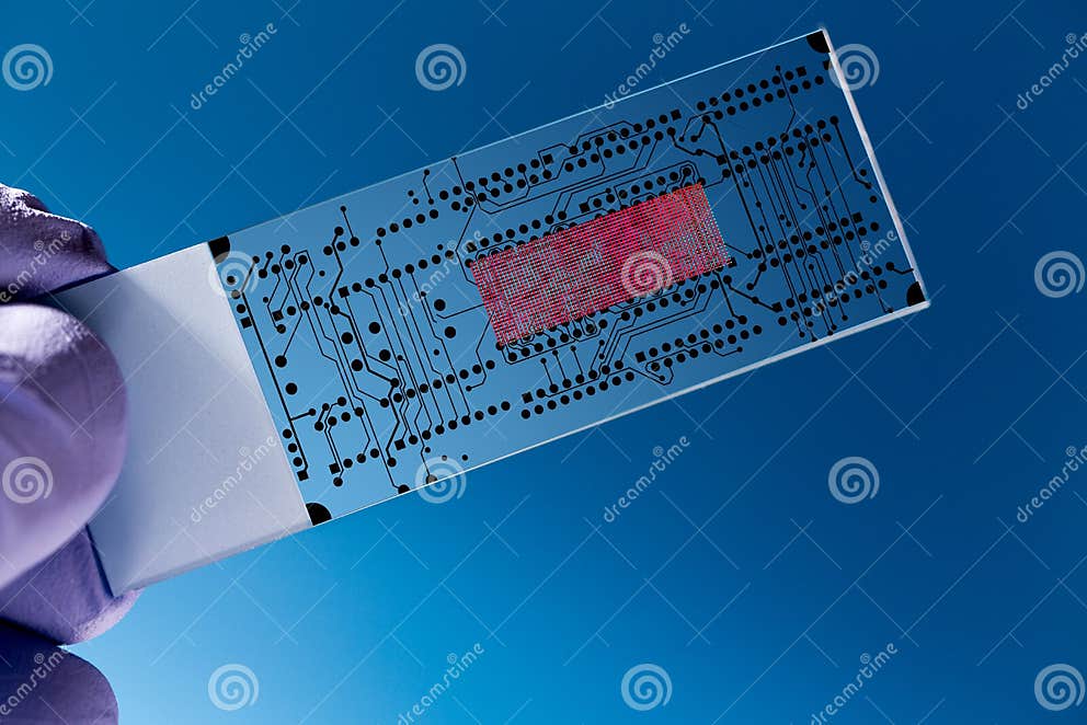 Lab on chip (LOC) stock photo. Image of micropillar, diagnostics - 44548622