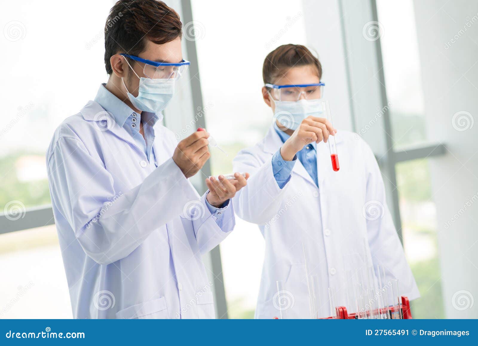 In lab environment stock image. Image of cooperation - 27565491