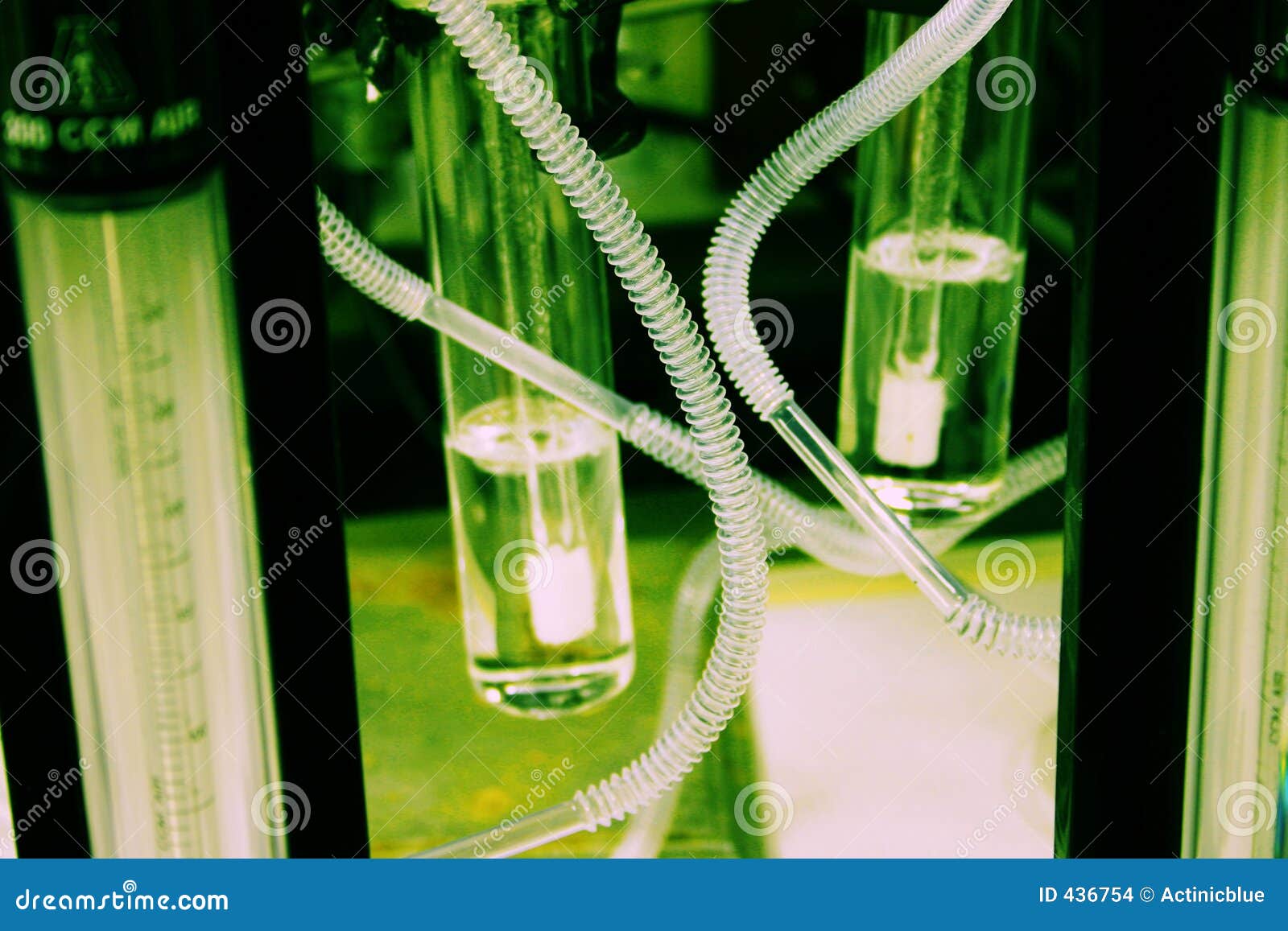 Lab Experiment stock photo. Image of agarose, research - 436754