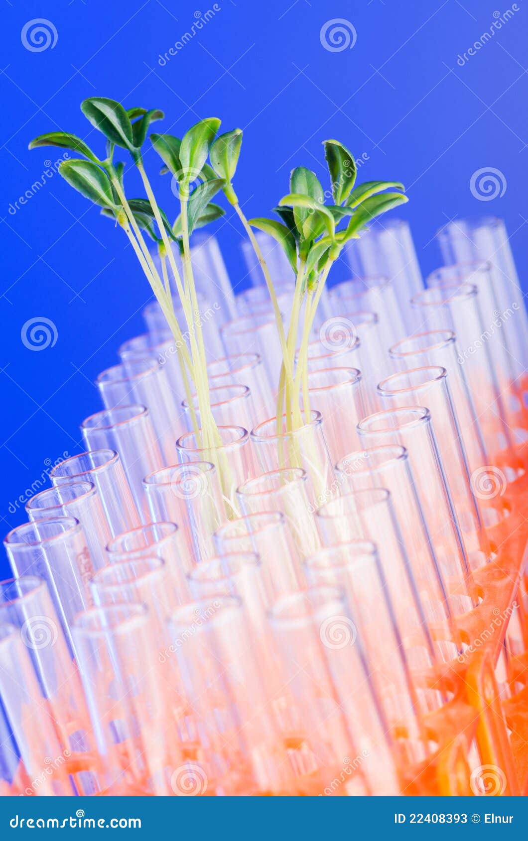 Lab experiment with grass stock image. Image of innovation - 22408393