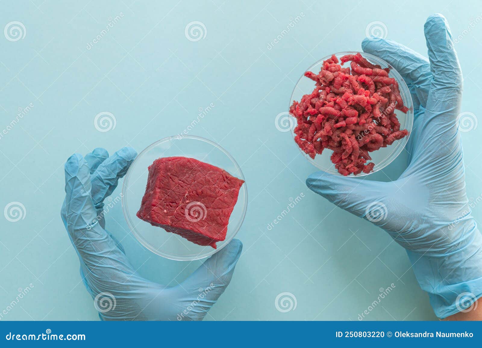 Lab Grown Meat Concept - Meat in Petri Dish Stock Photo - Image of ...