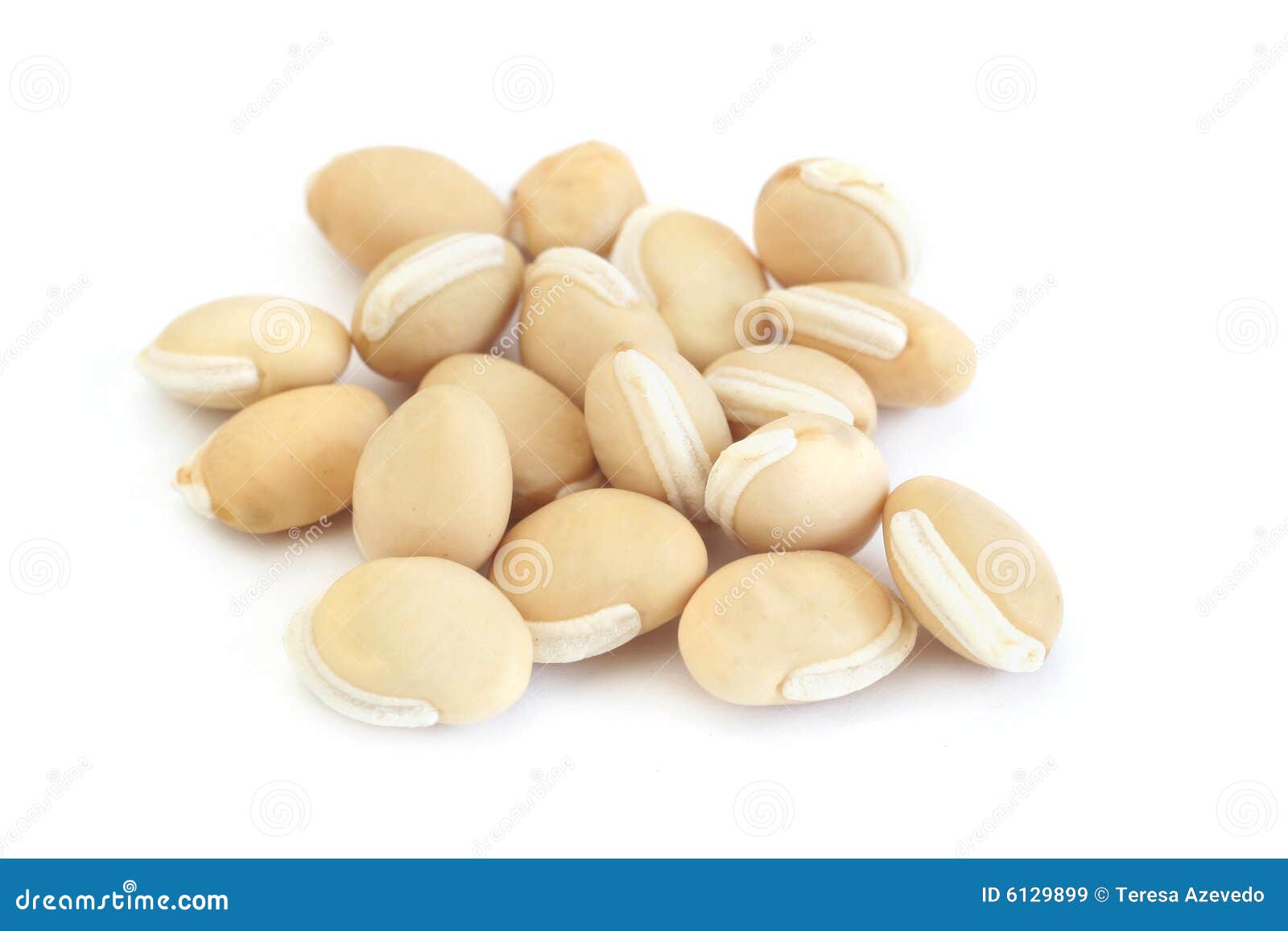 Lab lab beans stock image. Image of agriculture, haricot - 6129899