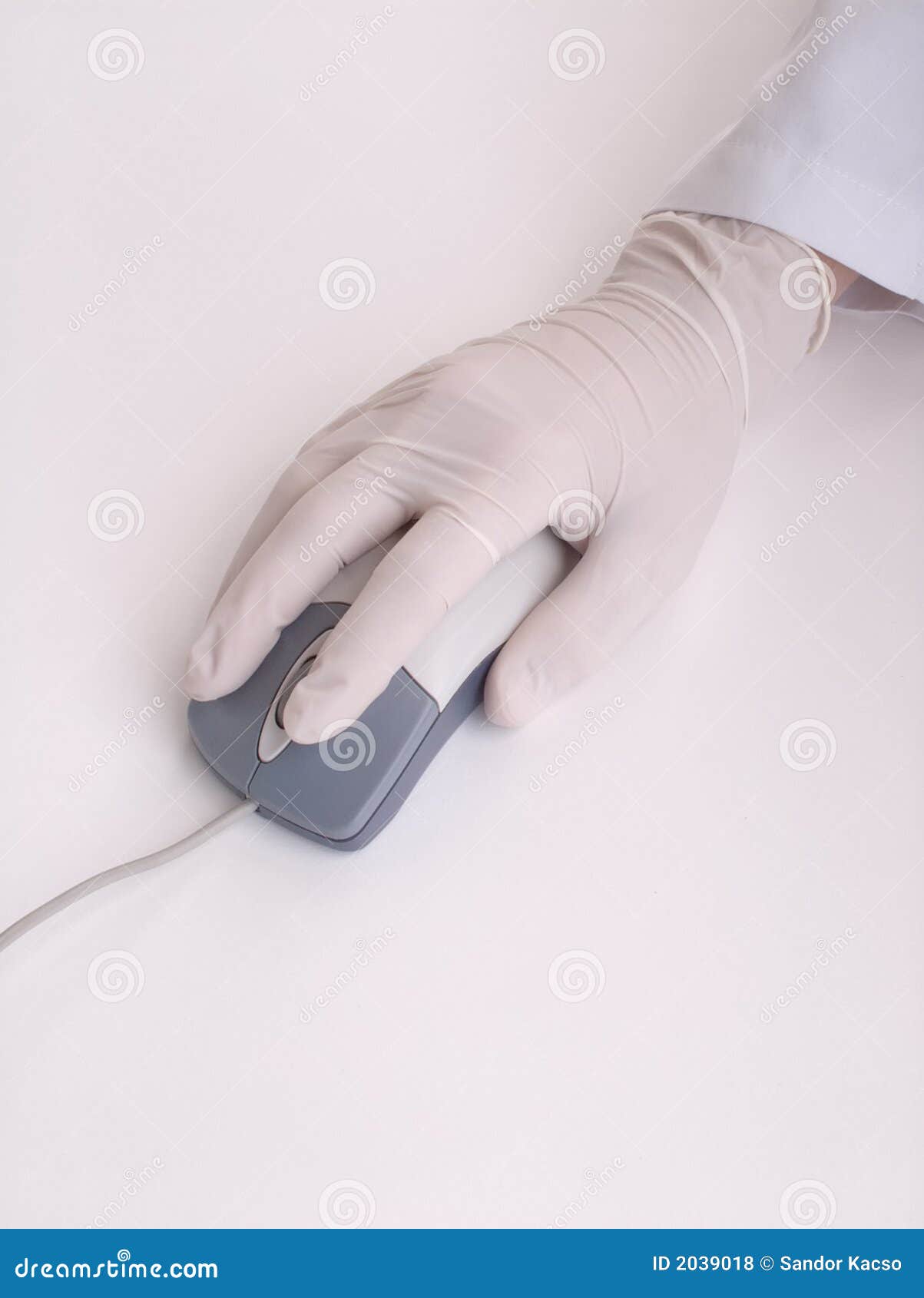 Lab mouse stock photo. Image of computer, medic, health - 2039018