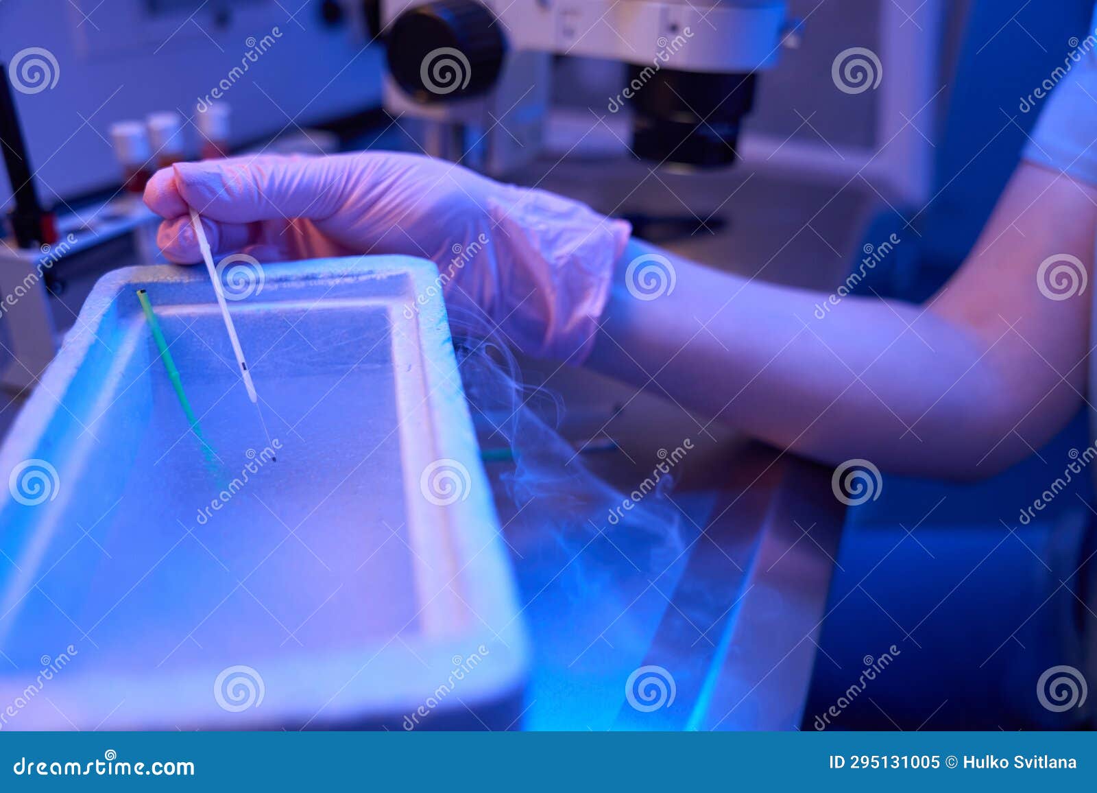 Lab Researcher Freezing Cells in Cryogenic Freezer Box Stock Image ...