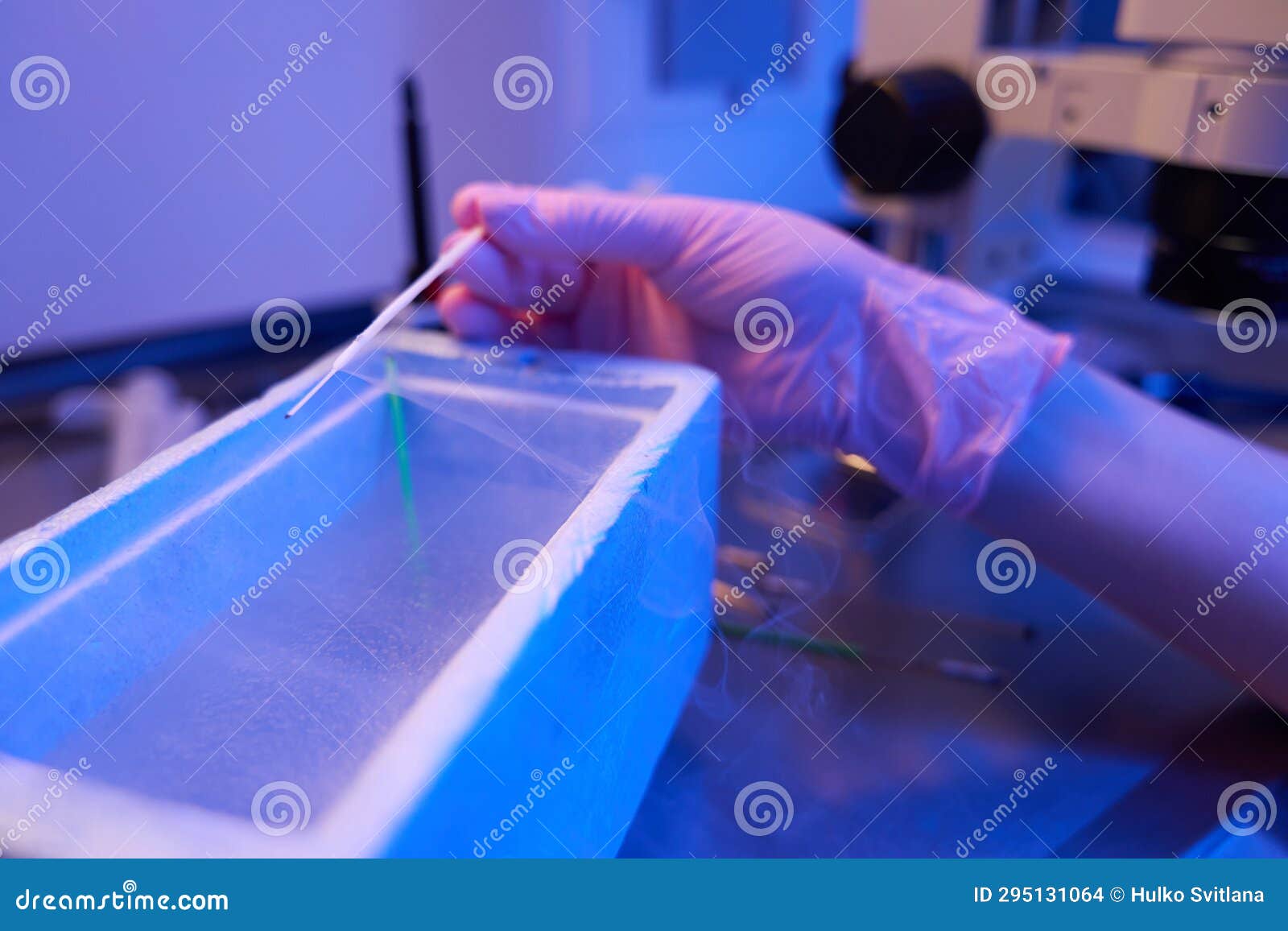 Lab Researcher Performing Cryopreservation of Biological Samples Stock ...