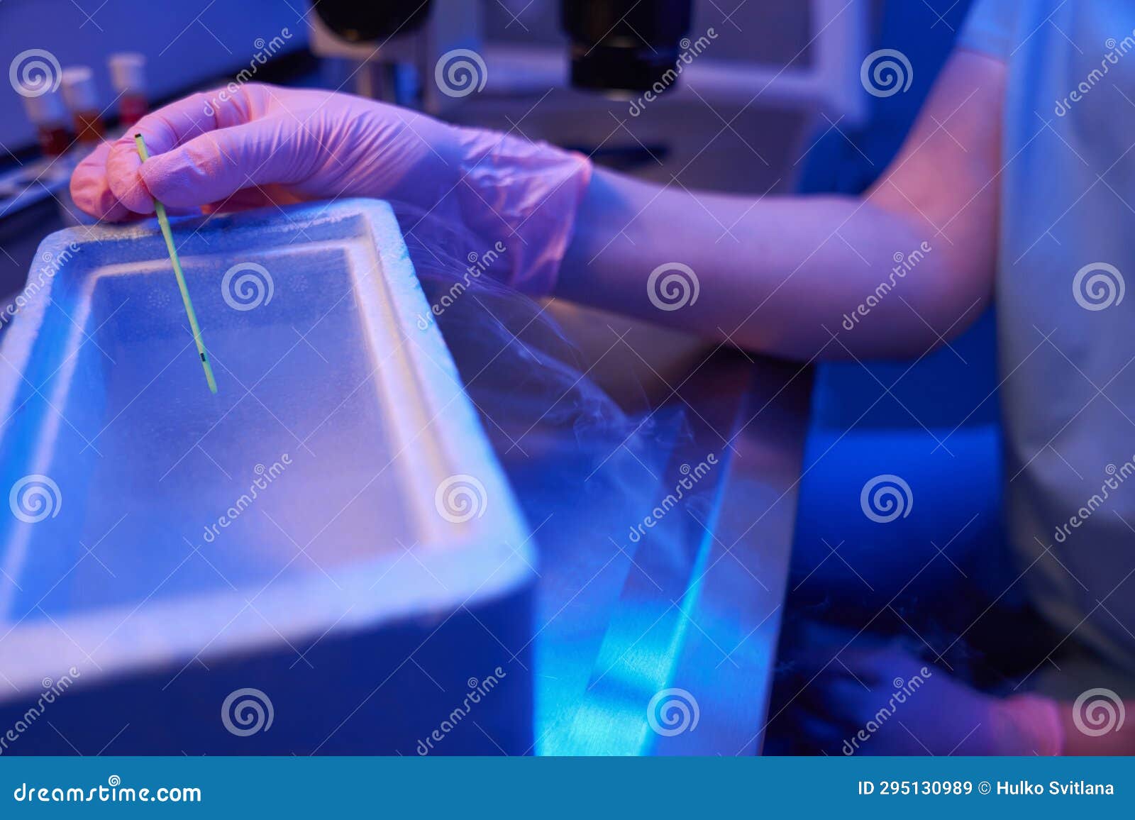 Lab Scientist Carrying Out Embryo Cryopreservation Procedure Stock ...
