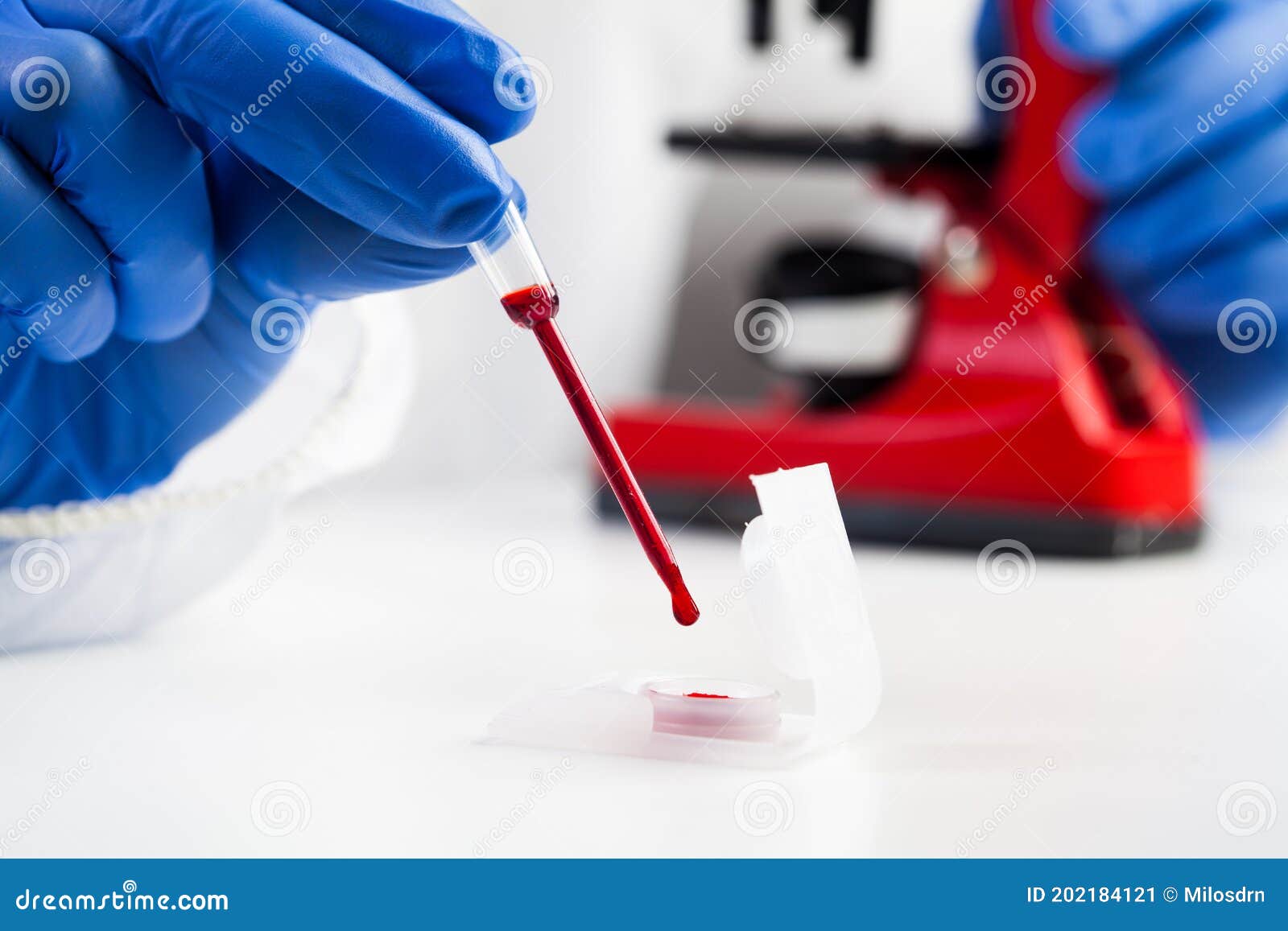 Lab Scientist or Medical Technologist Taking a Blood Sample Using ...