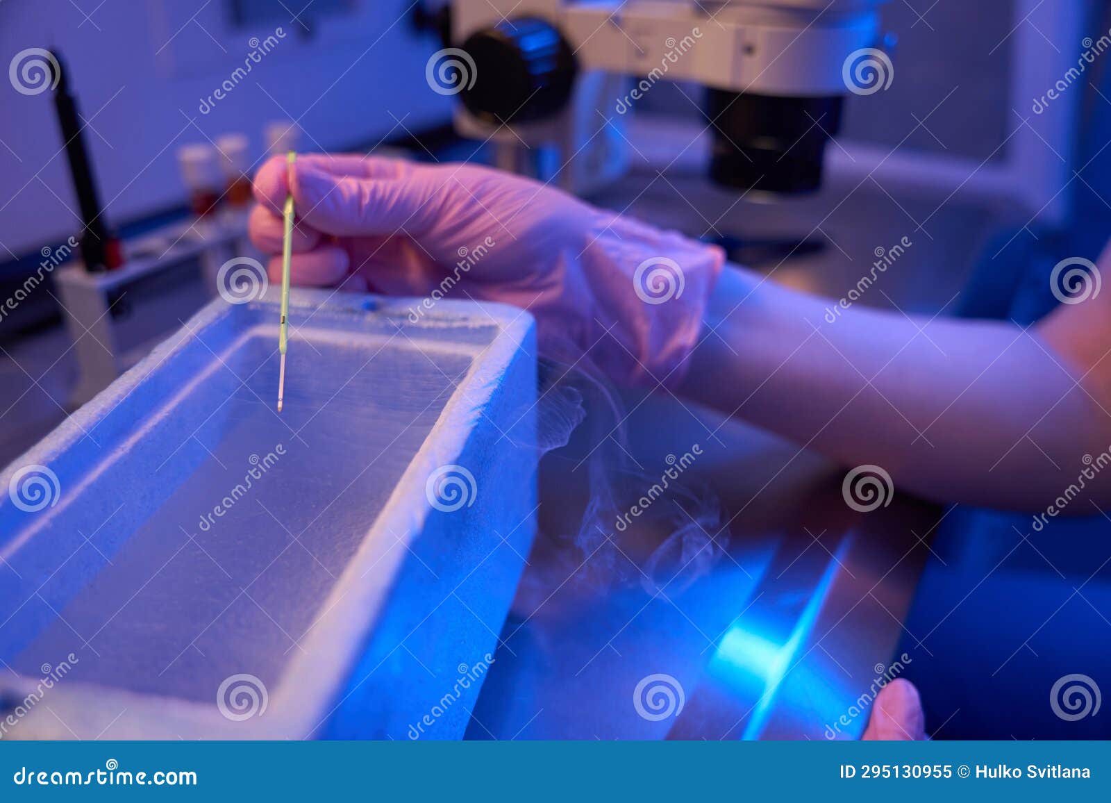 Lab Scientist Placing Cell Samples into Cryogenic Freezer Box Stock ...