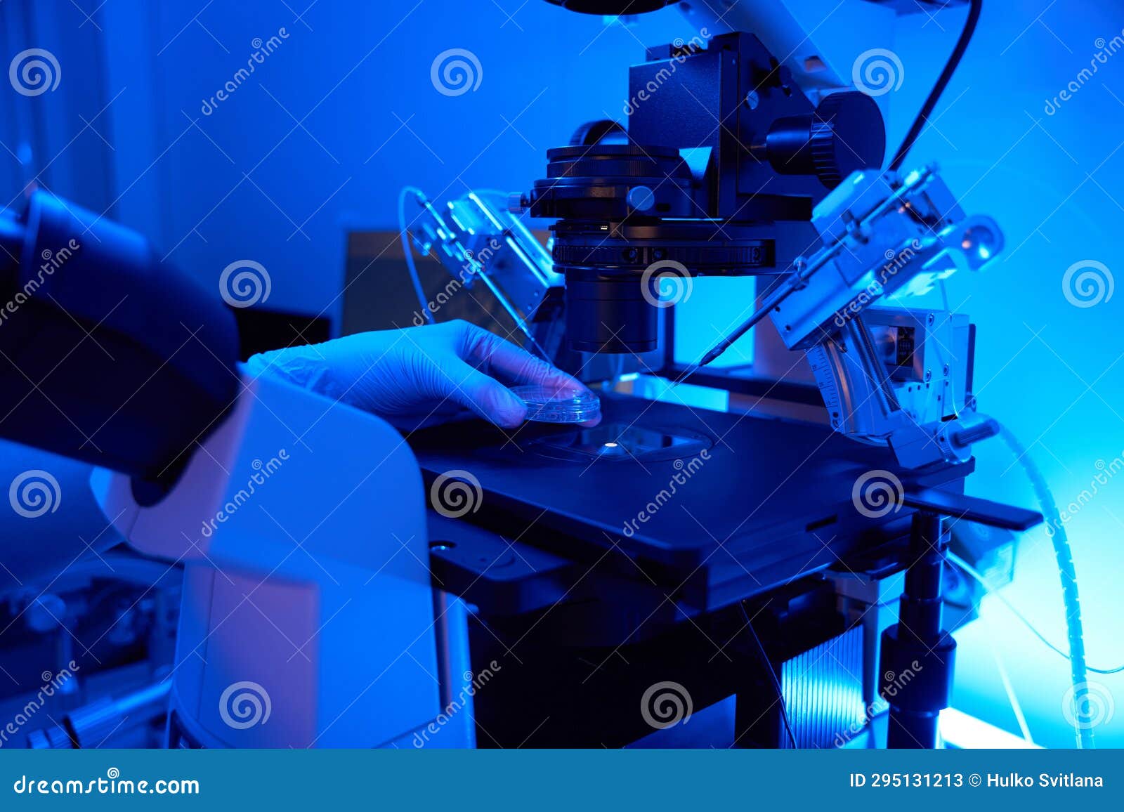 Lab Scientist Preparing for Cell Manipulation with Micromanipulator ...