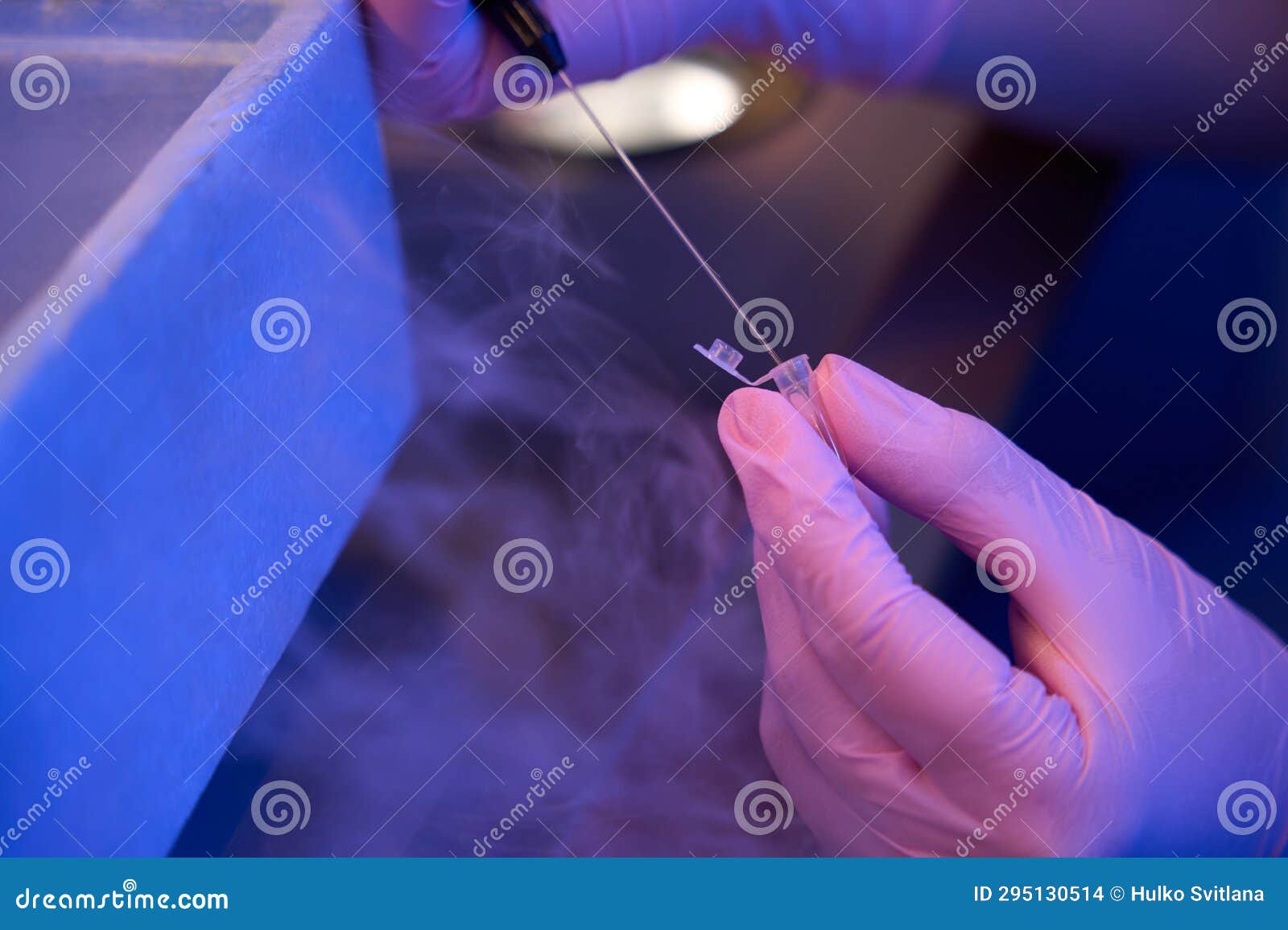 Lab Scientist Preparing Cell Samples for Cryopreservation Stock Photo ...