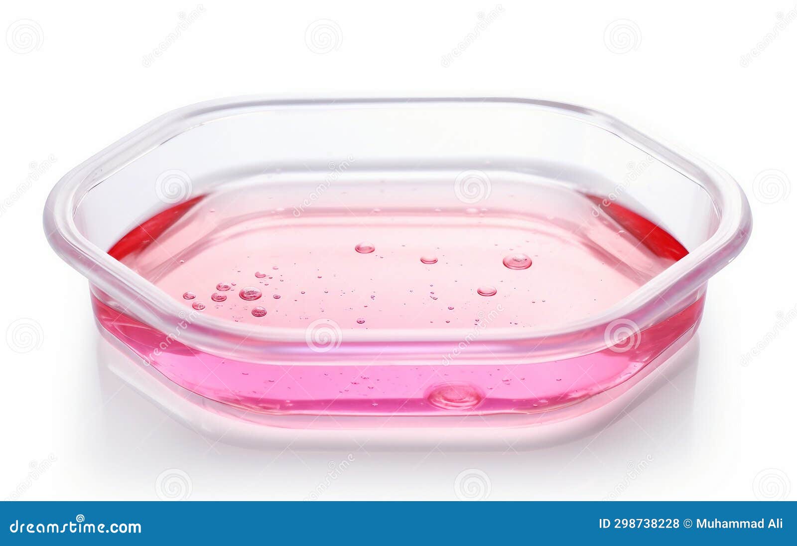 Lab Staining Dish on White Background Stock Photo - Image of ...
