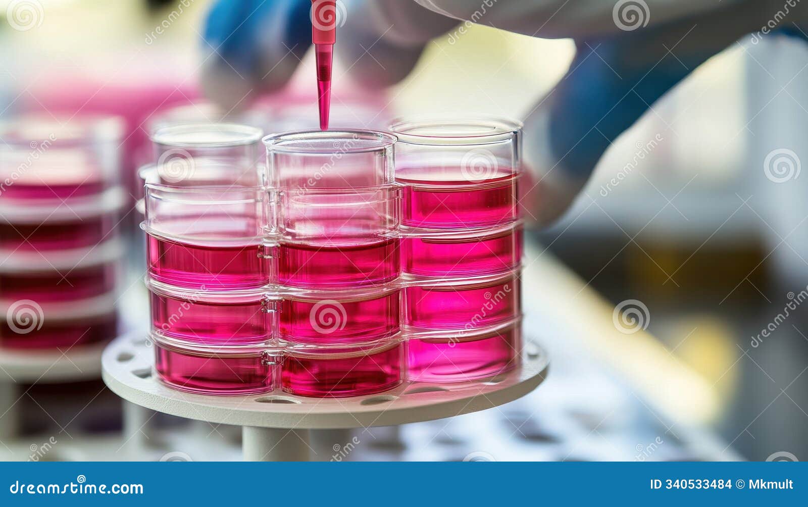 Lab Tech Conducting Bacterial Tests with Reagents in a Microlab Stock ...