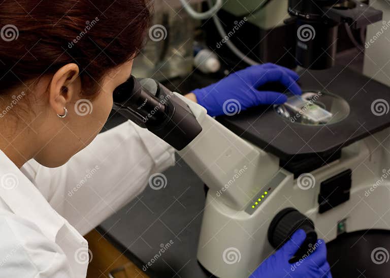 Lab Tech Working with Microscope Stock Photo - Image of disease ...