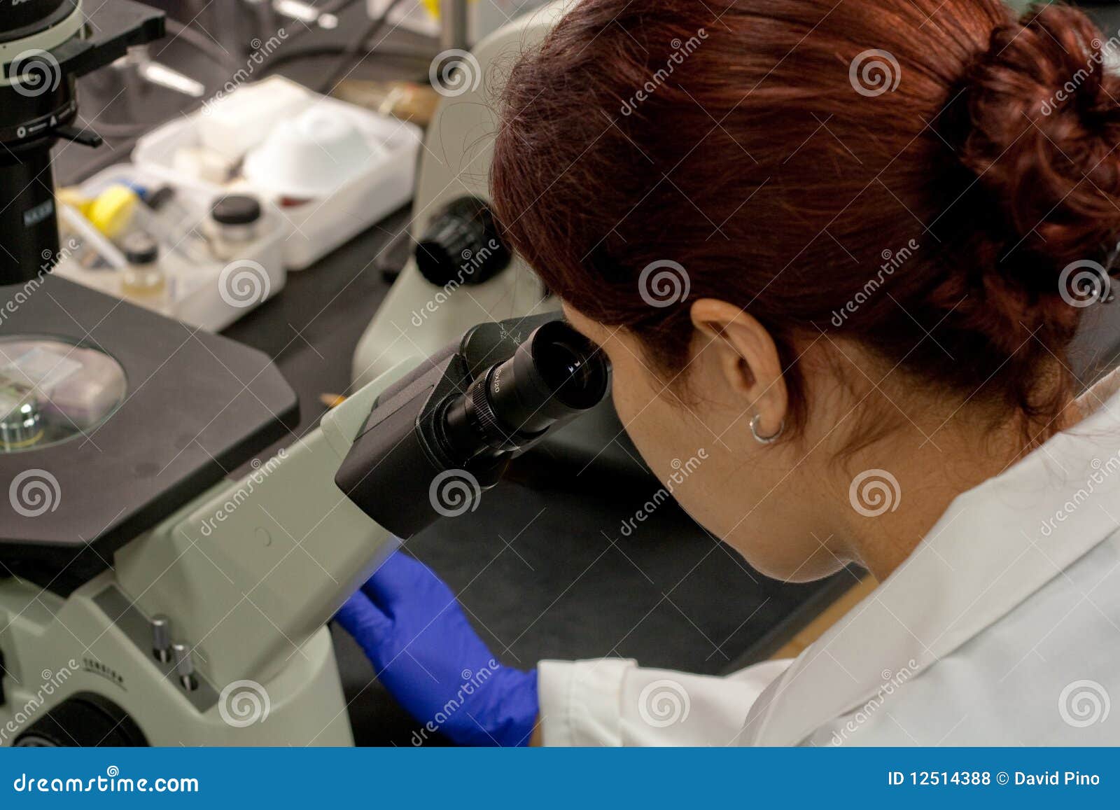 Lab Tech Working with Microscope Stock Photo - Image of laboratory ...