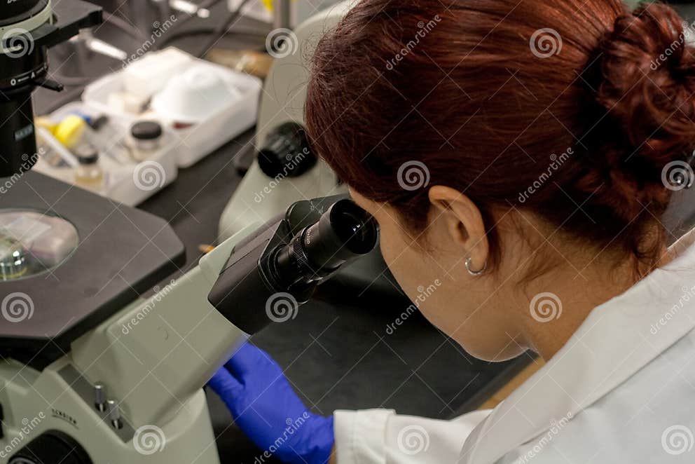 Lab Tech Working with Microscope Stock Photo - Image of laboratory ...