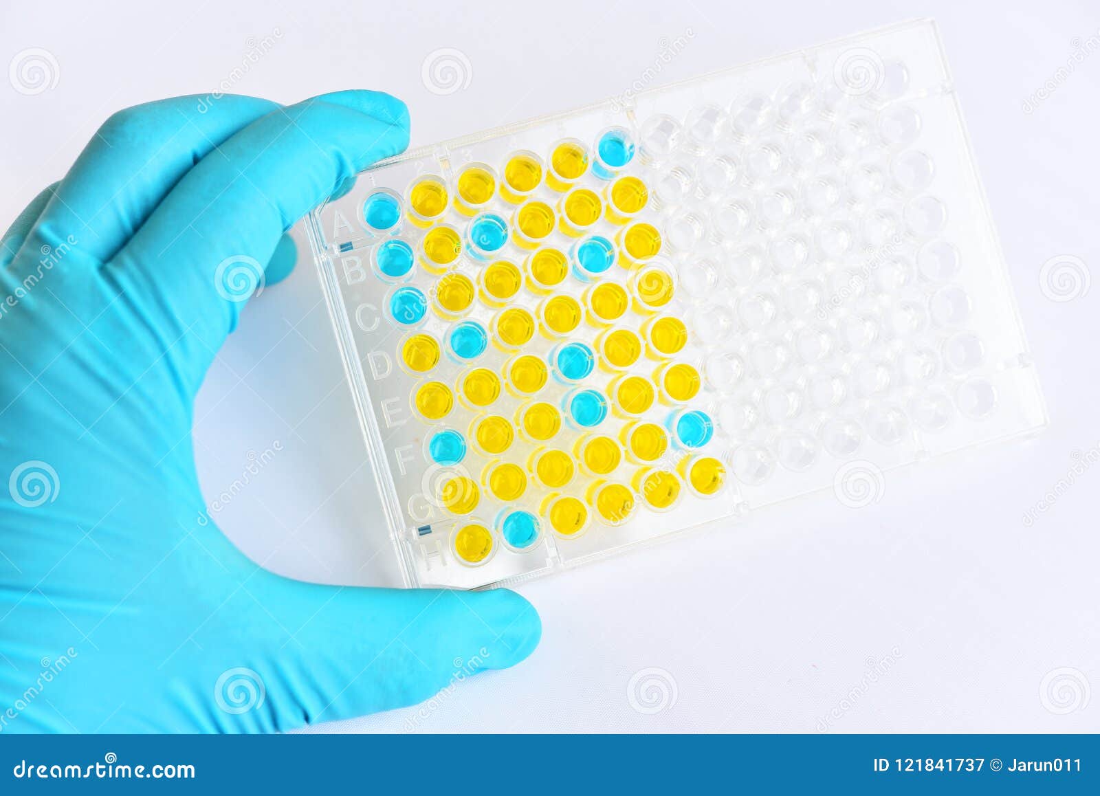 ELISA Laboratory Tools Royalty-Free Stock Photo | CartoonDealer.com ...
