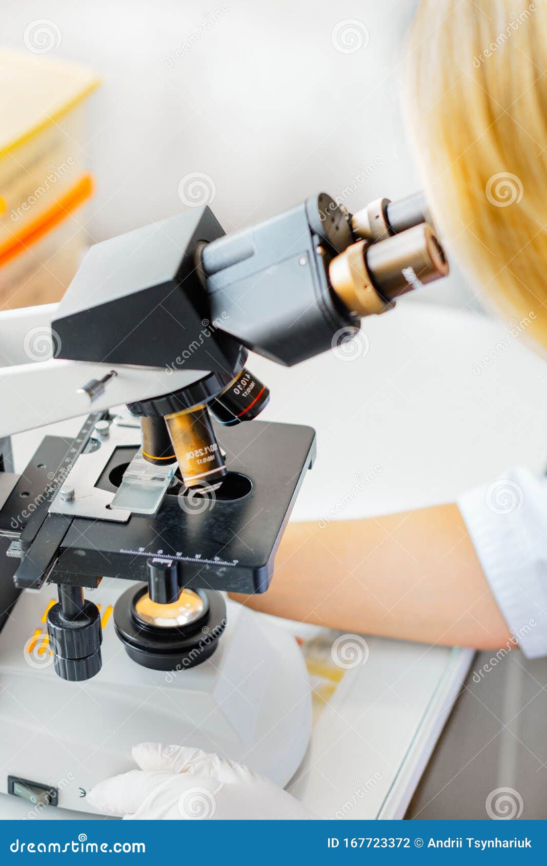 The Lab Technician Looks into the Microscope and Records and Analyzes ...