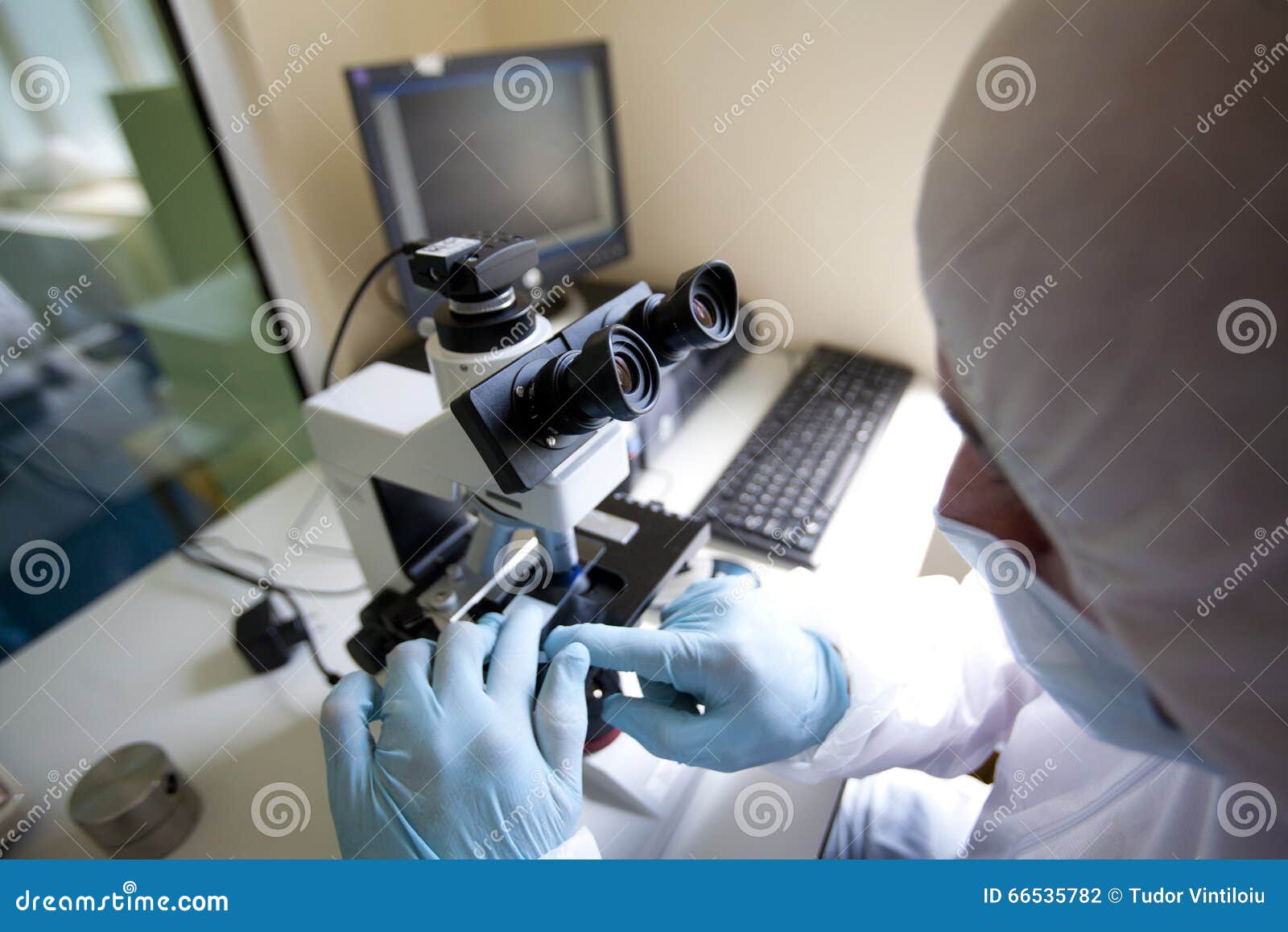 Lab Technician Performs Experiments Using a Microscope Stock Photo ...